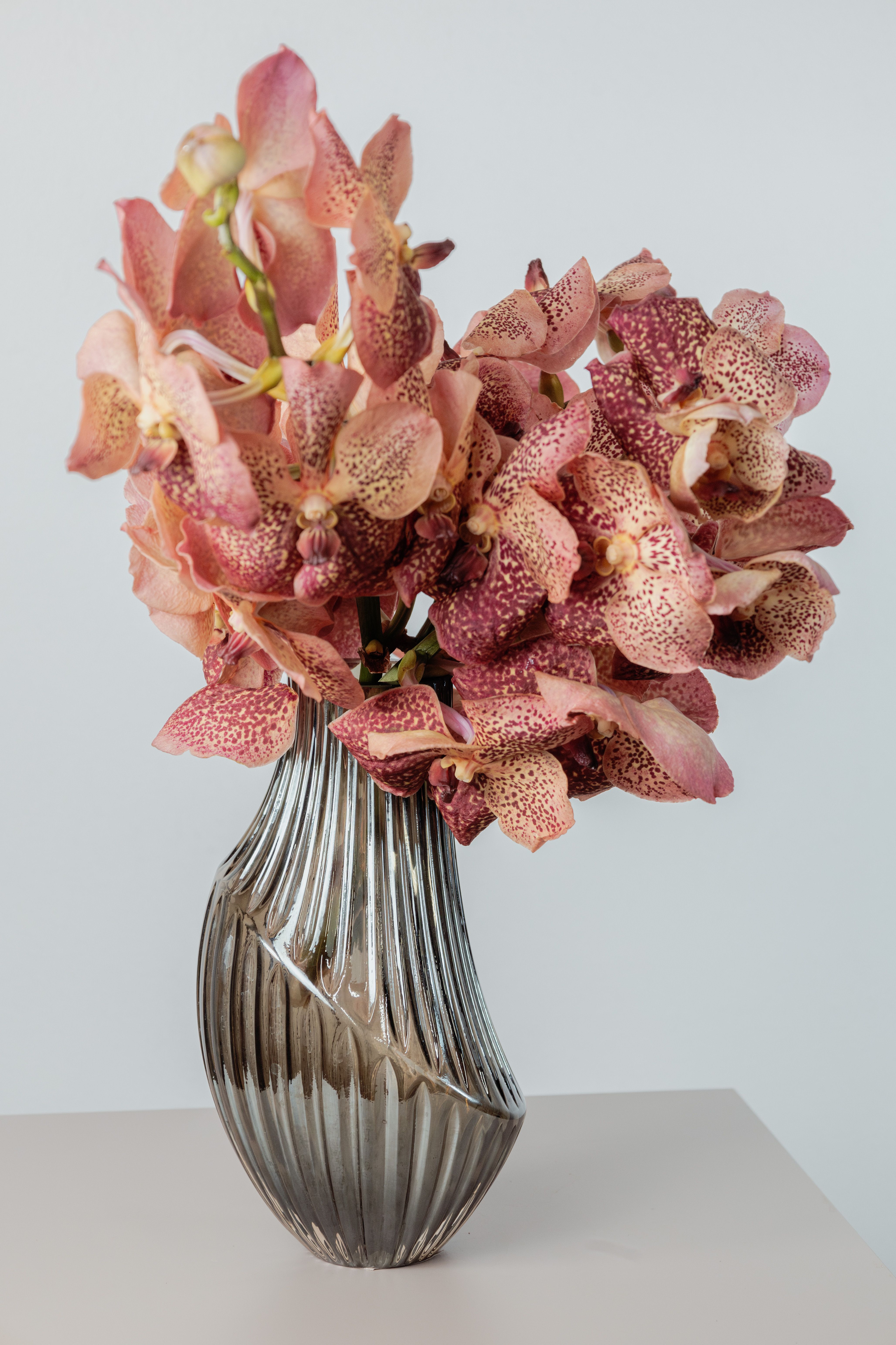 A Bunch of Pink Vanda Orchids in a Glass Vase · Free Stock Photo