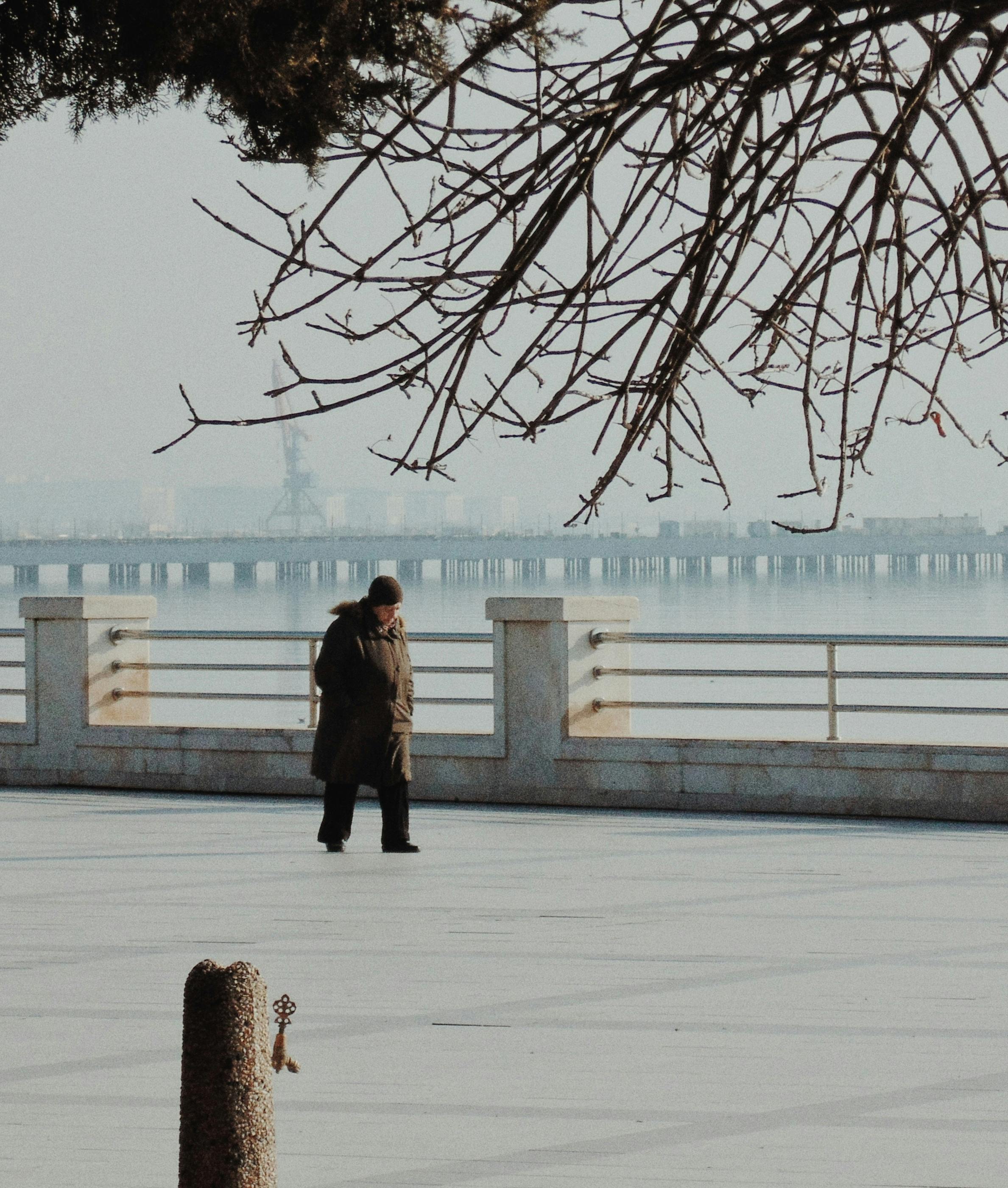 Orkhan Aliyev - Photography