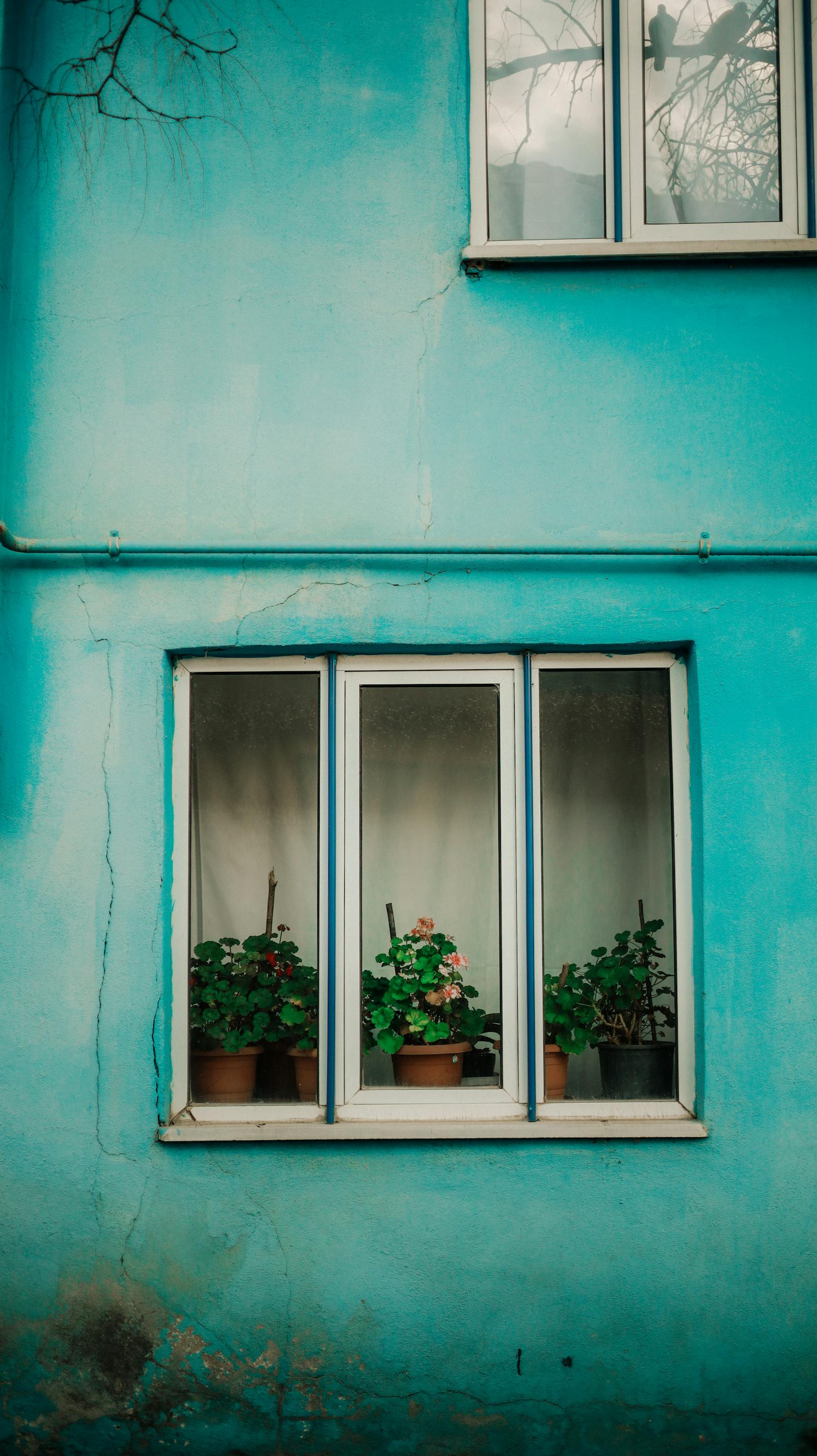 Color: Turquoise Photos, Download The BEST Free Color: Turquoise Stock ...