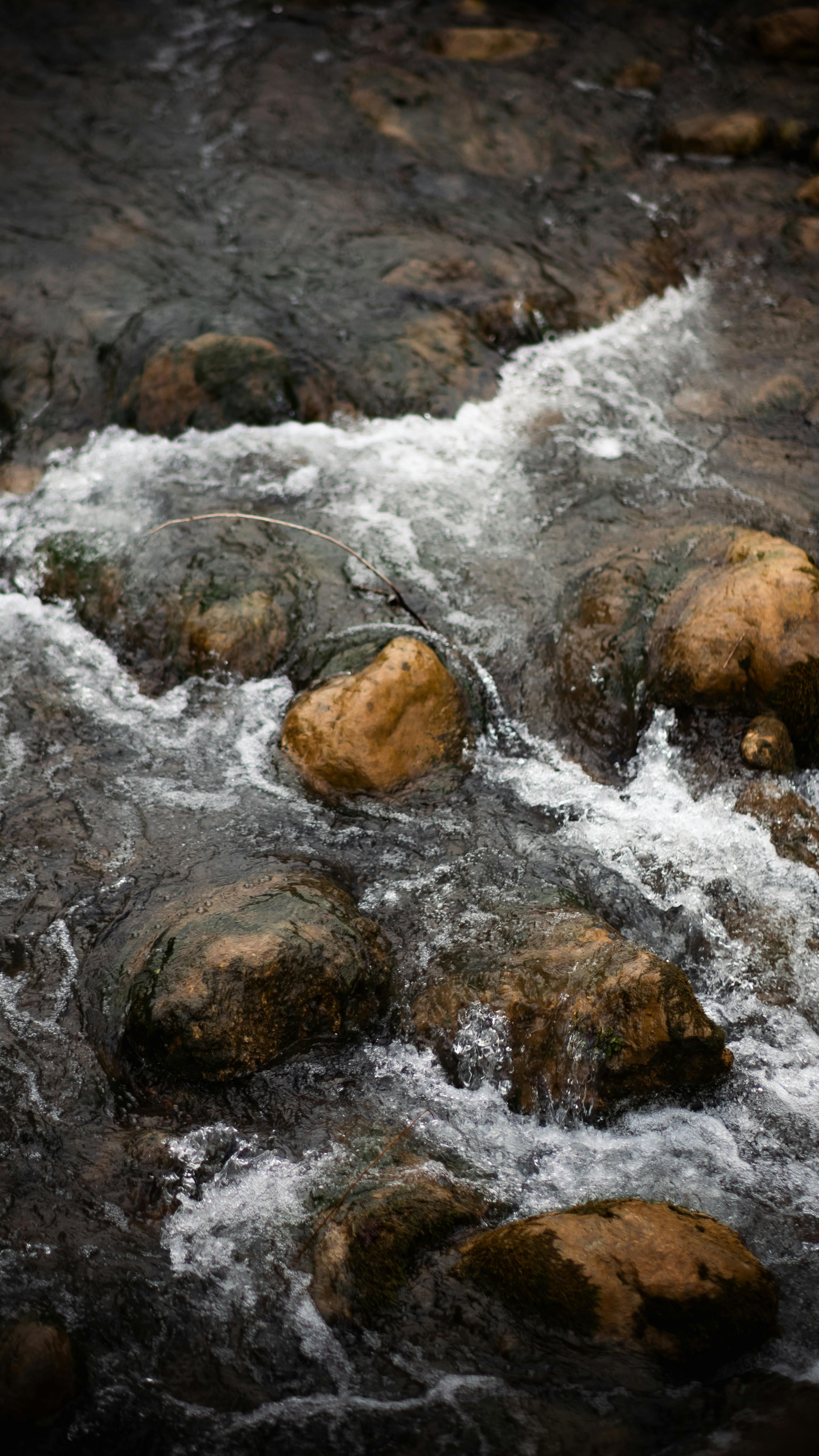 Rocks on Stream · Free Stock Photo
