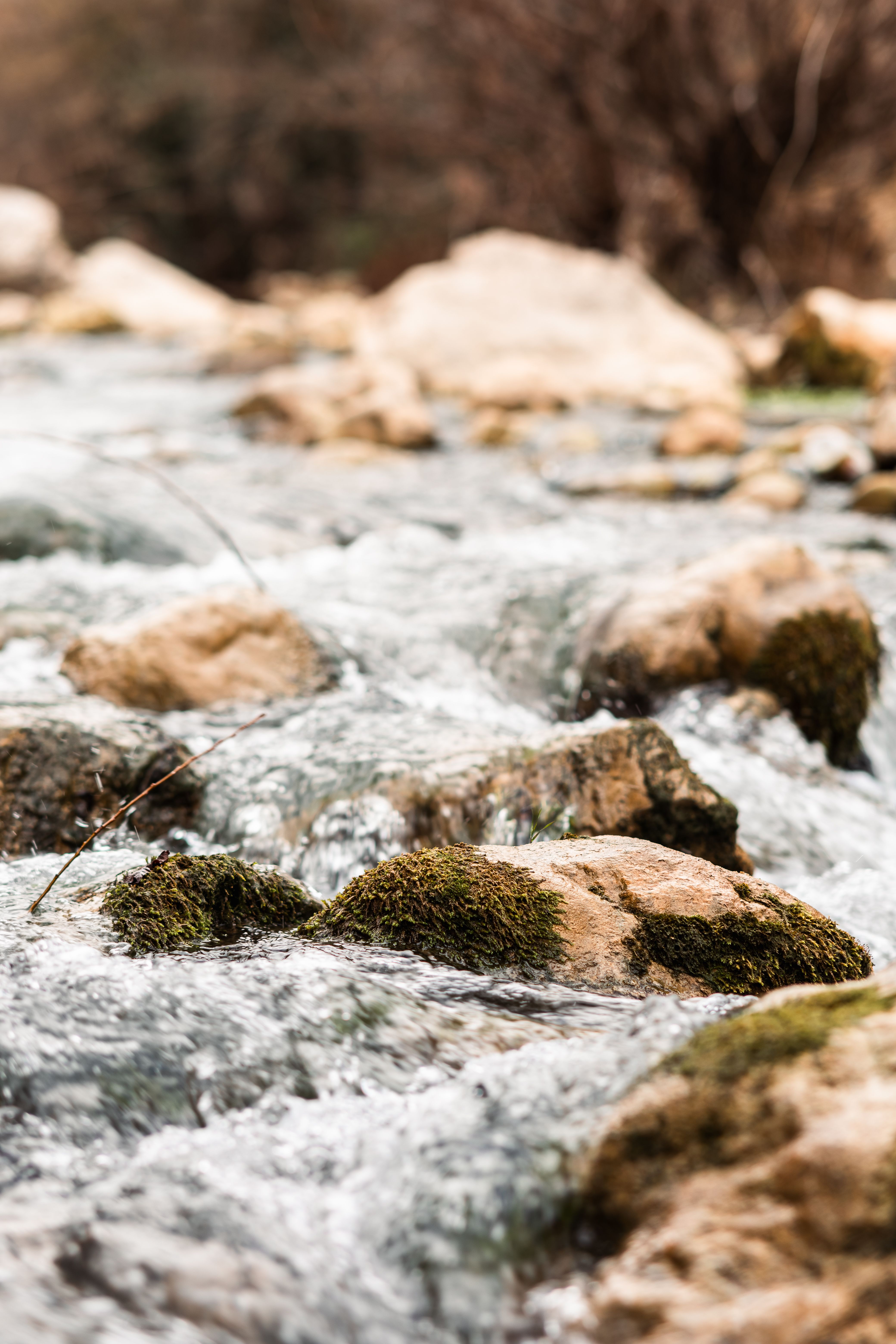 Stones on Shallow Stream · Free Stock Photo