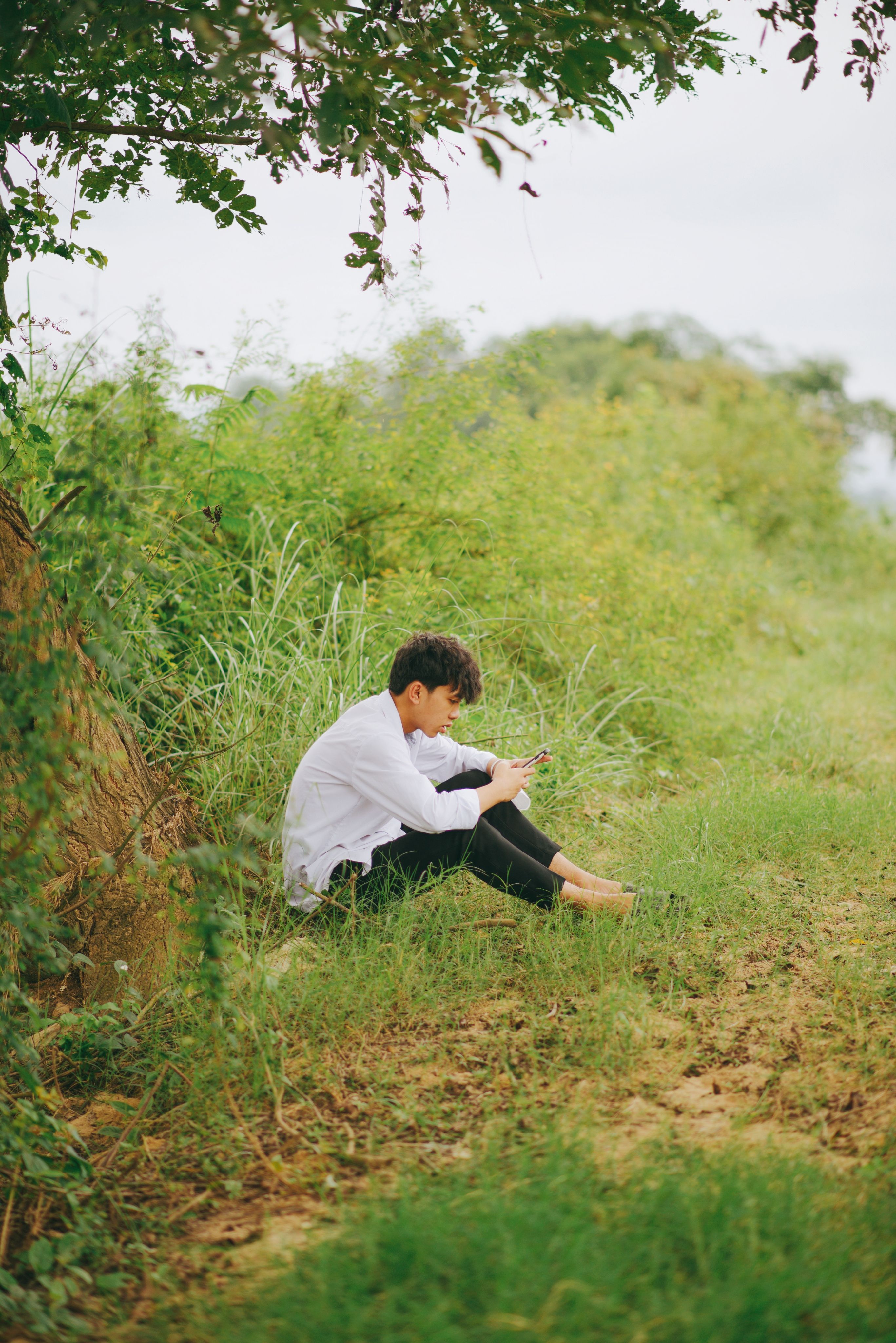 Man Sitting on a Field · Free Stock Photo