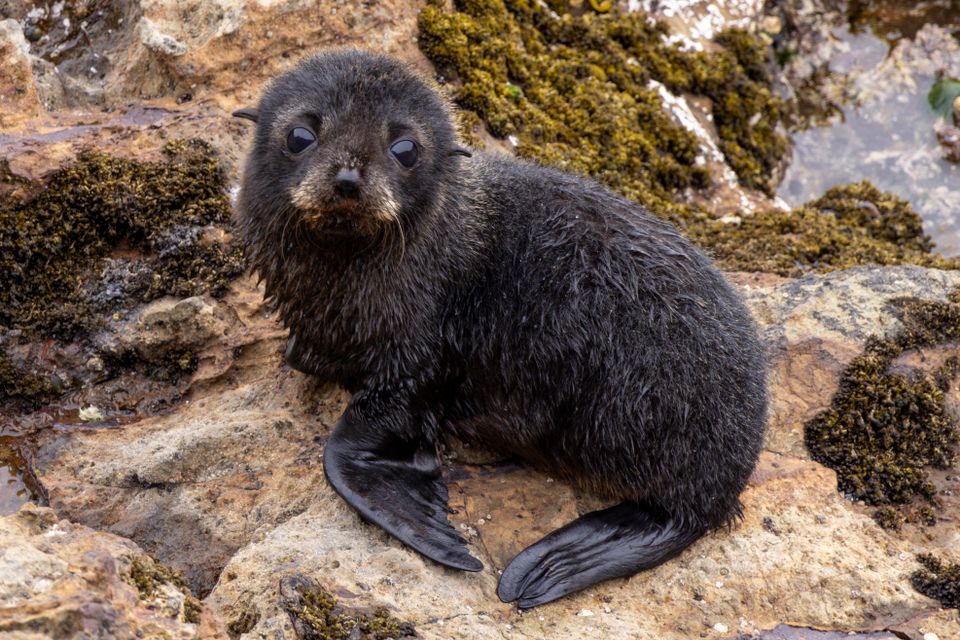 Seal (contract law) Explained Simply for Beginners