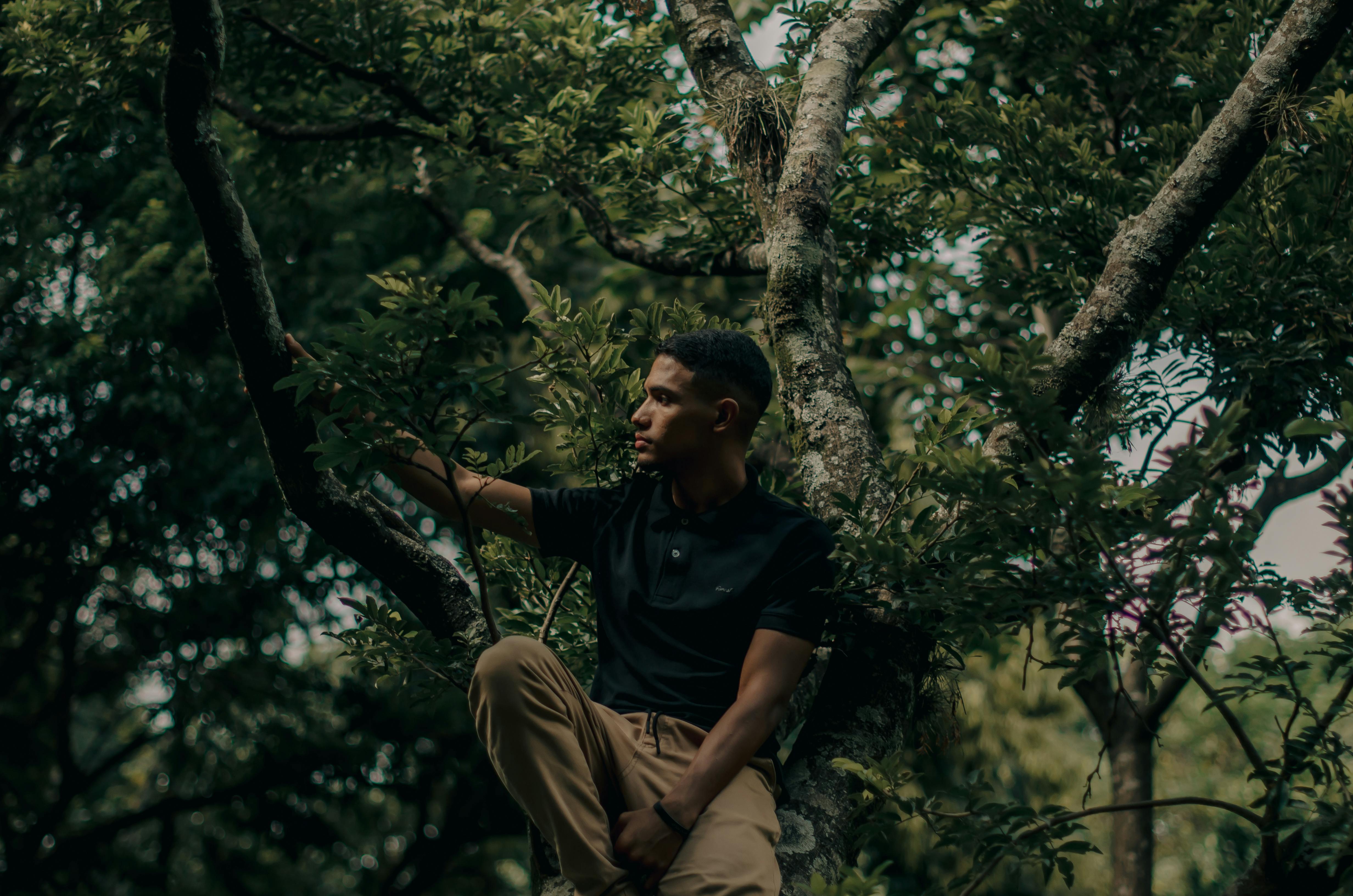 Handsome Young Man Sitting on Tree Branches · Free Stock Photo