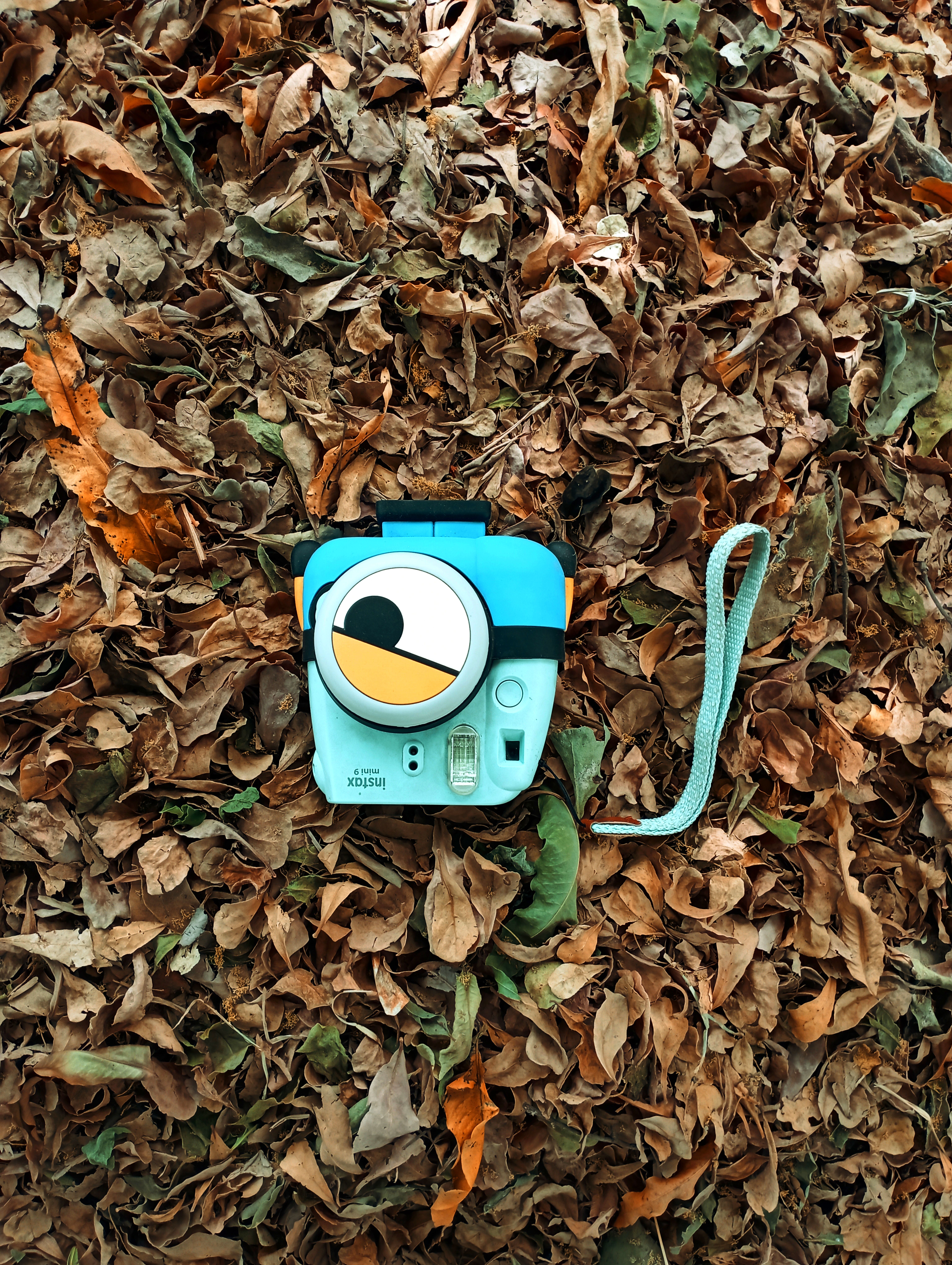 Blue Polaroid Camera on Ground · Free Stock Photo