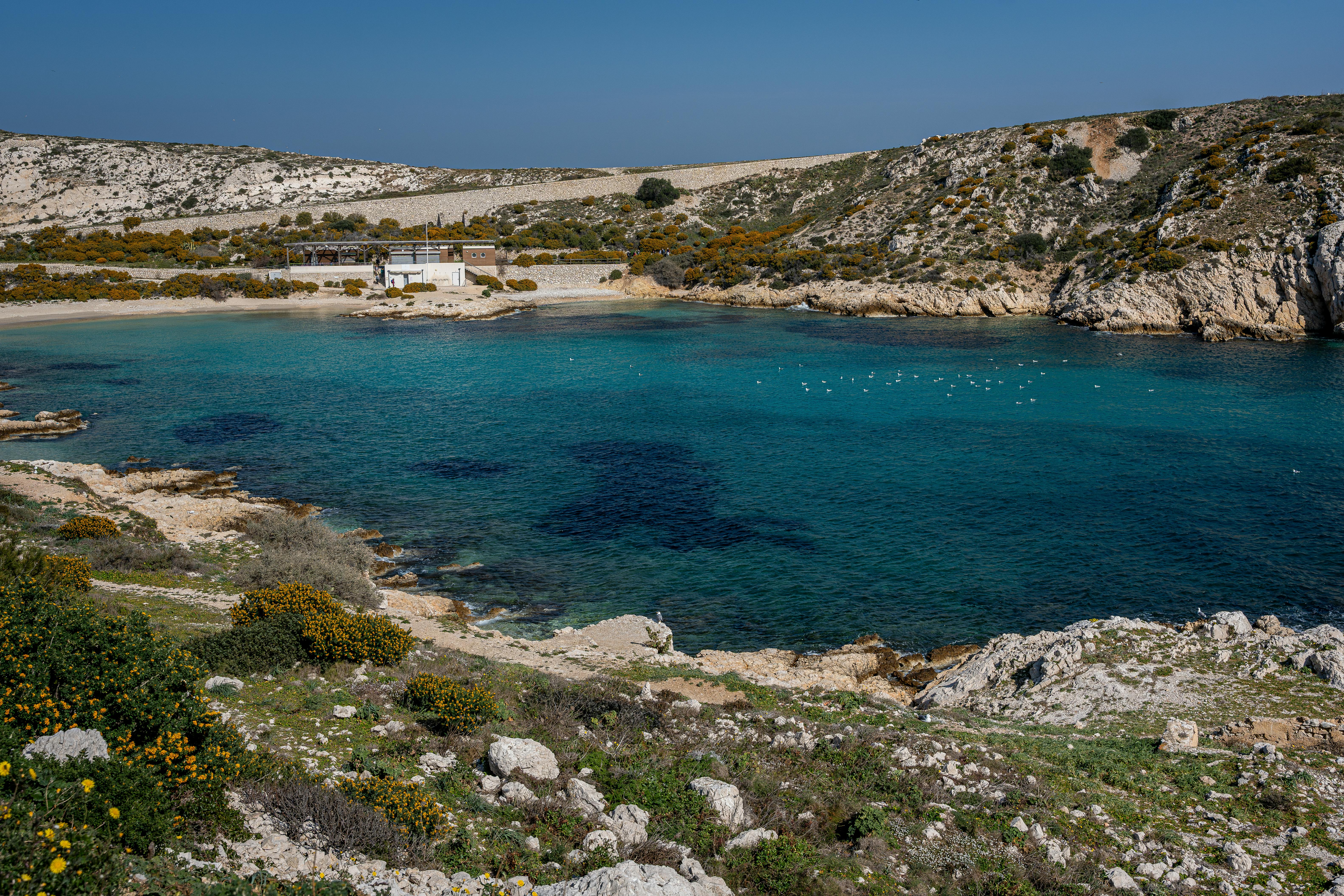 Foto de stock gratuita sobre @al aire libre, agua, aguas turquesas, bahía, belleza natural ...