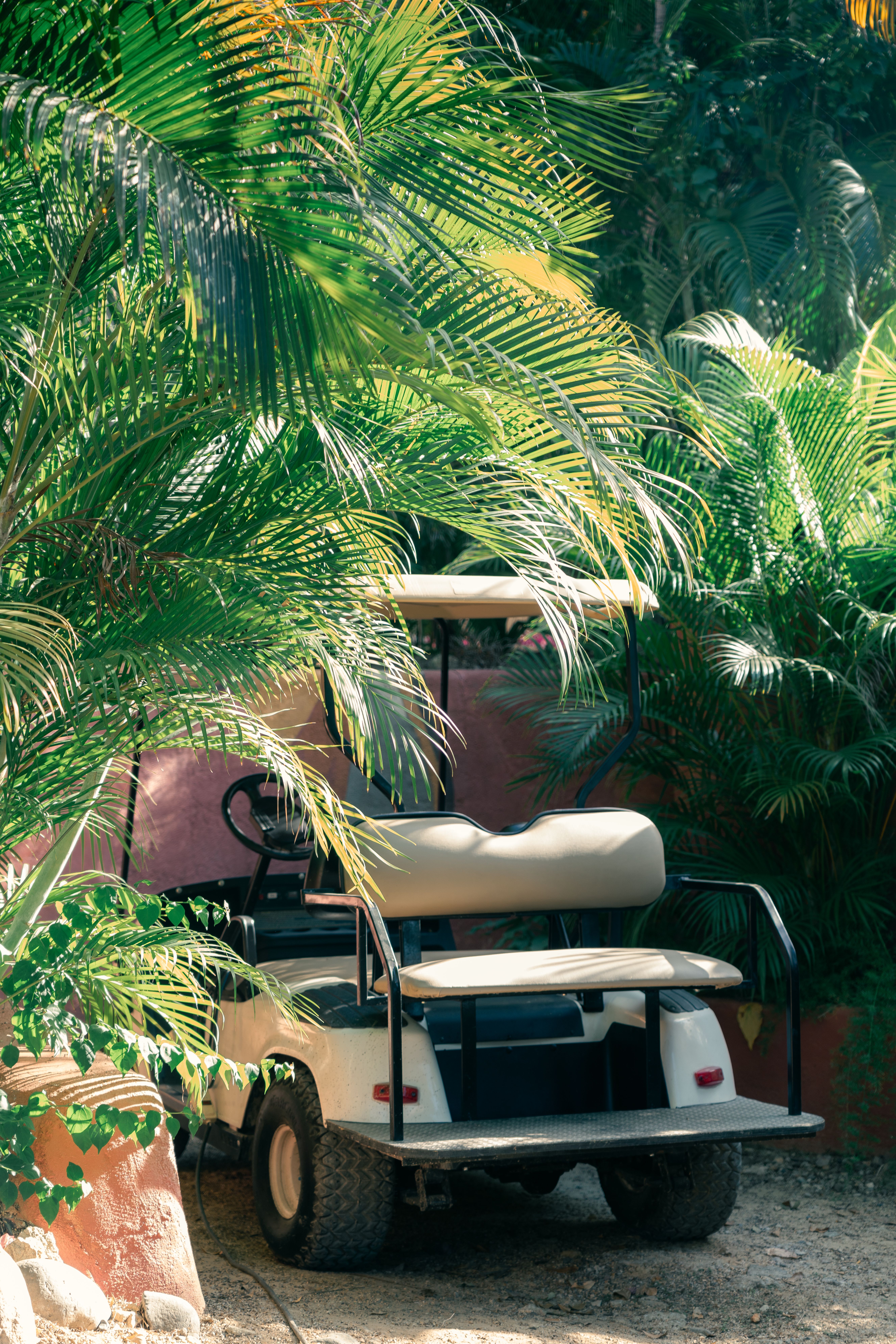 Trees around Golf Cart · Free Stock Photo