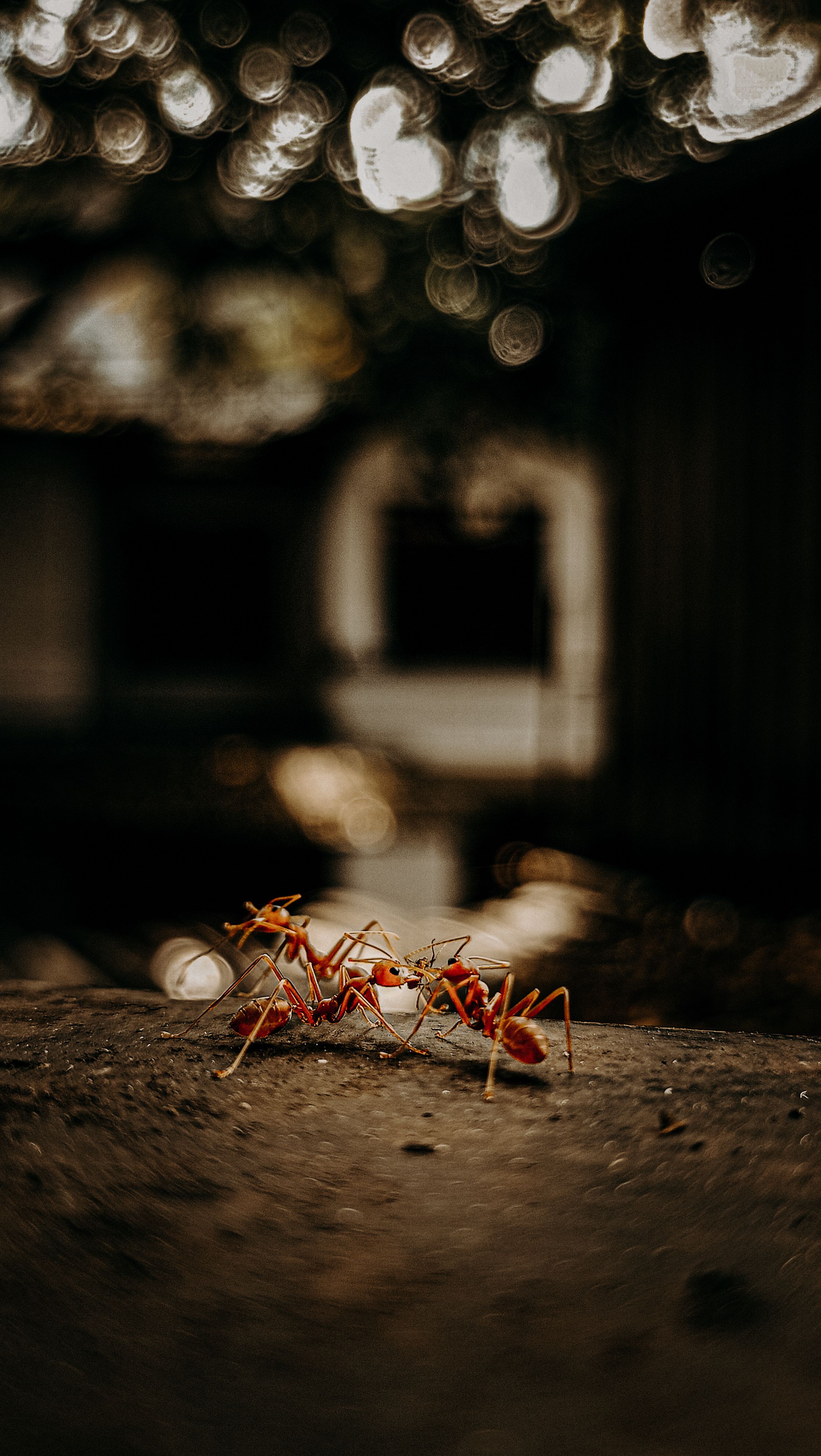 Scary Beach Photos, Download The BEST Free Scary Beach Stock Photos ...
