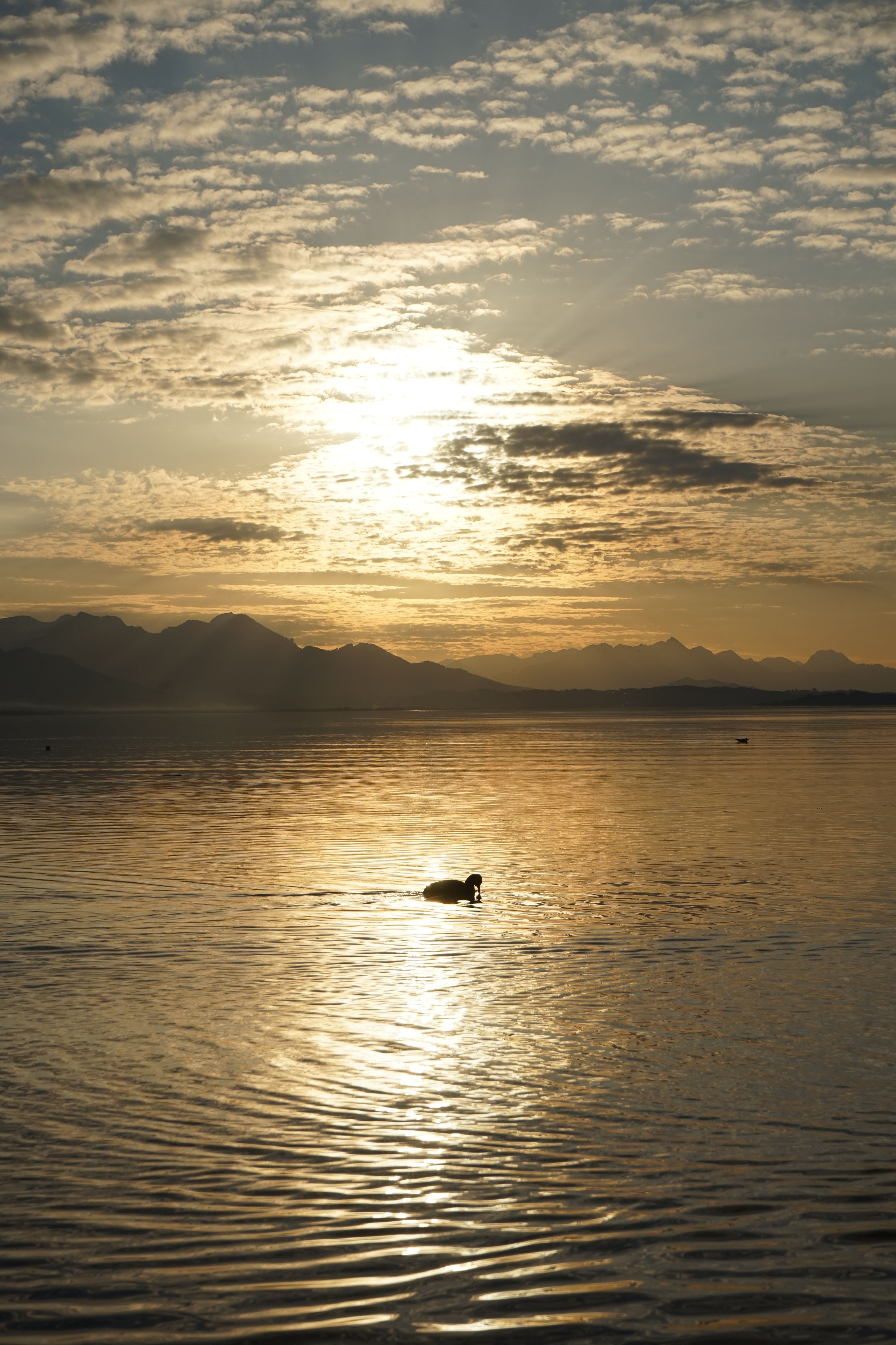 Calm Body Of Water · Free Stock Photo