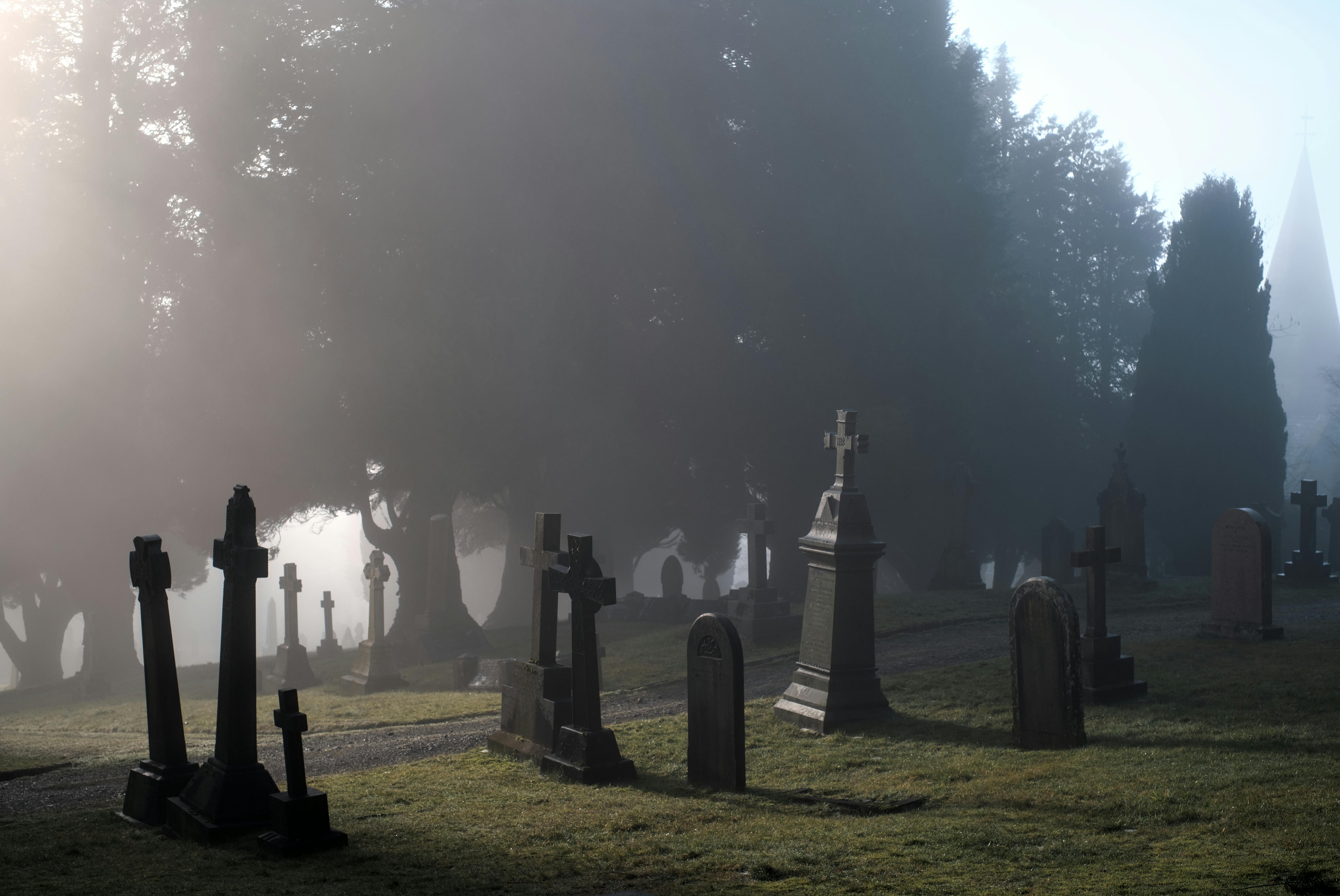 Creepy Foggy Cemetery Photos, Download The BEST Free Creepy Foggy Cemetery Stock Photos & HD Images