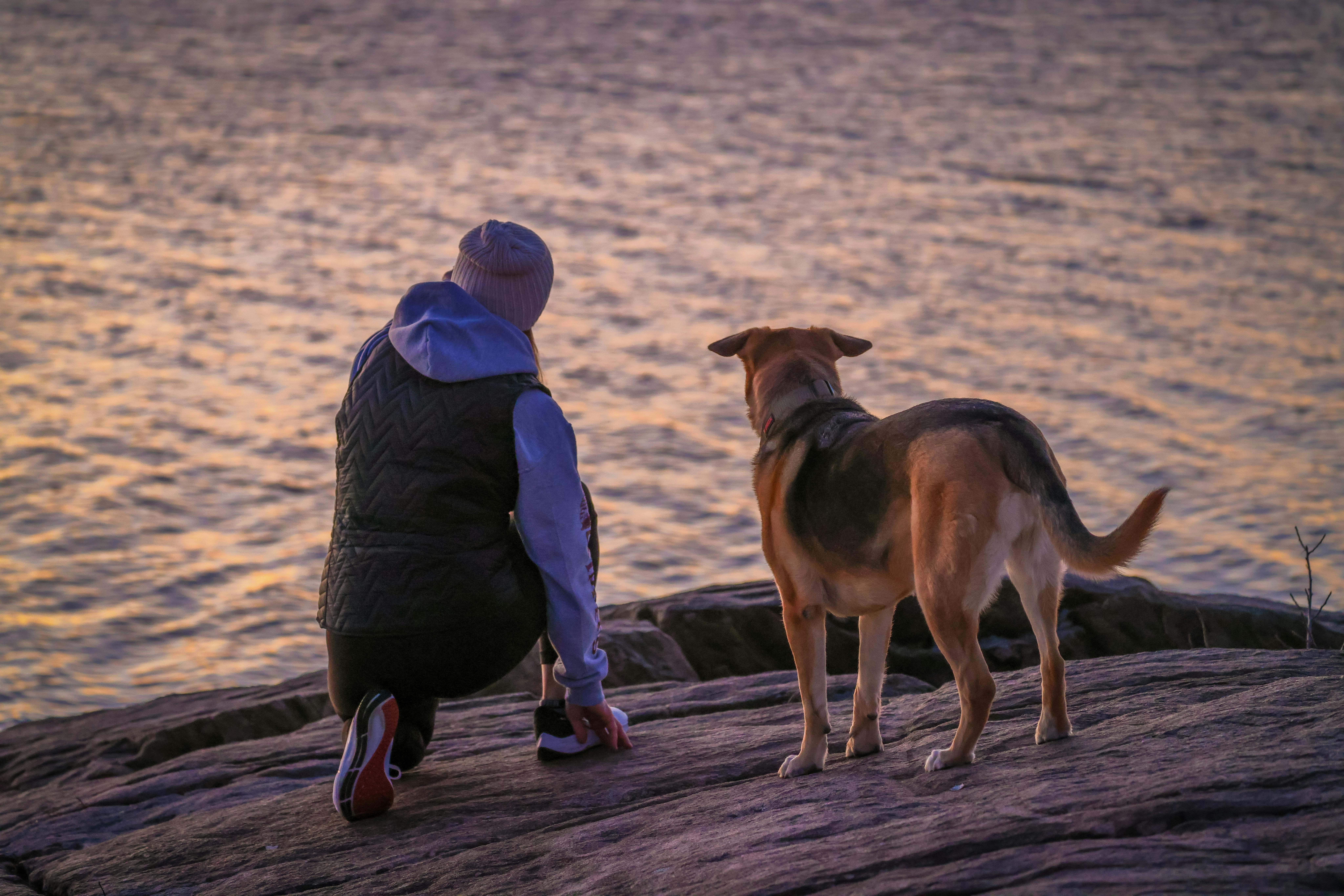 Woman Crouching with Dog on Rock on Lakeshore · Free Stock Photo