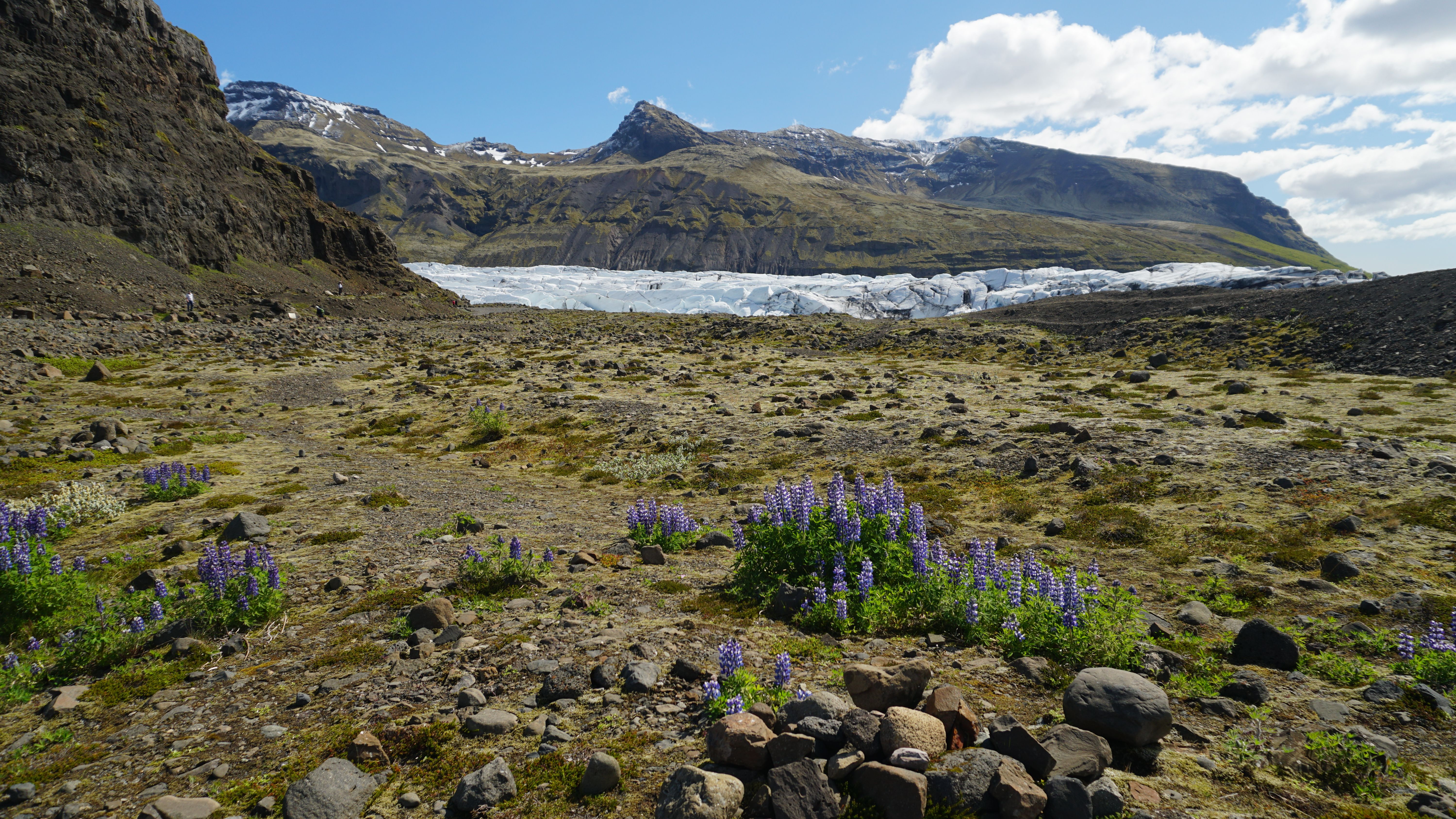 Scenic View of Mountains and a Glacier in Iceland · Free Stock Photo
