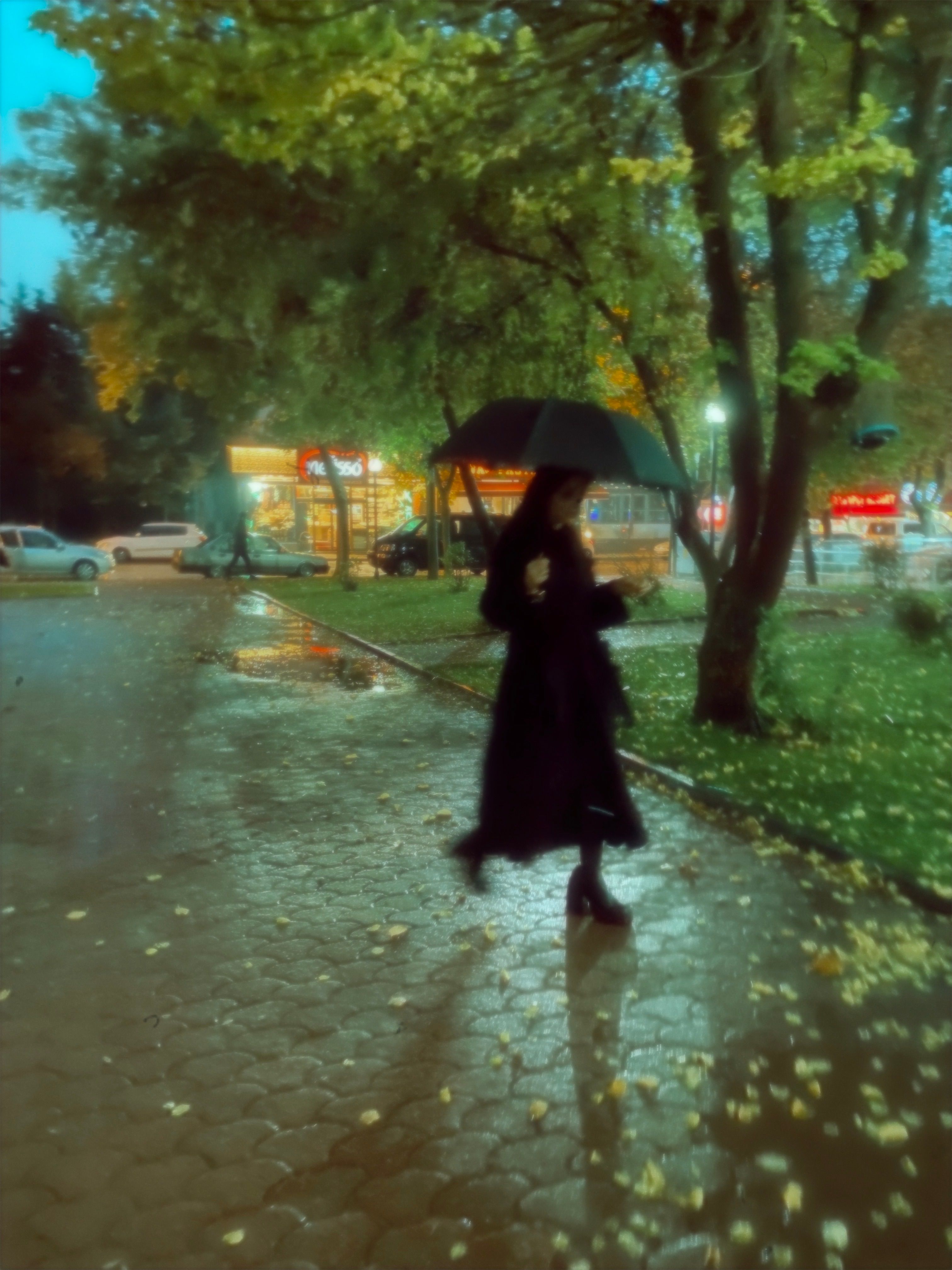 Yağmurlu Hava · Free Stock Photo