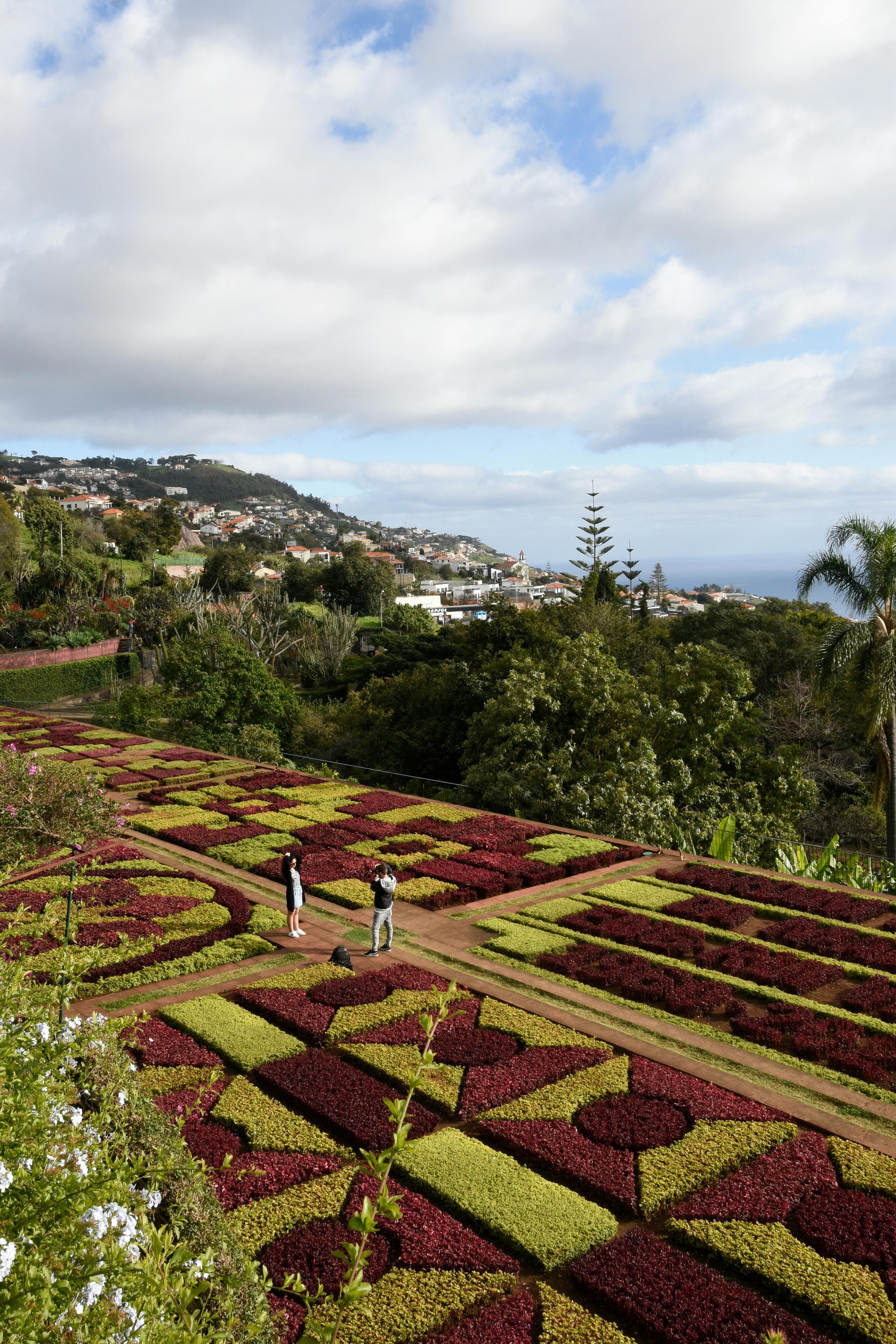 Photographer and Model in Garden in Funchal on Madeira in Portugal ...