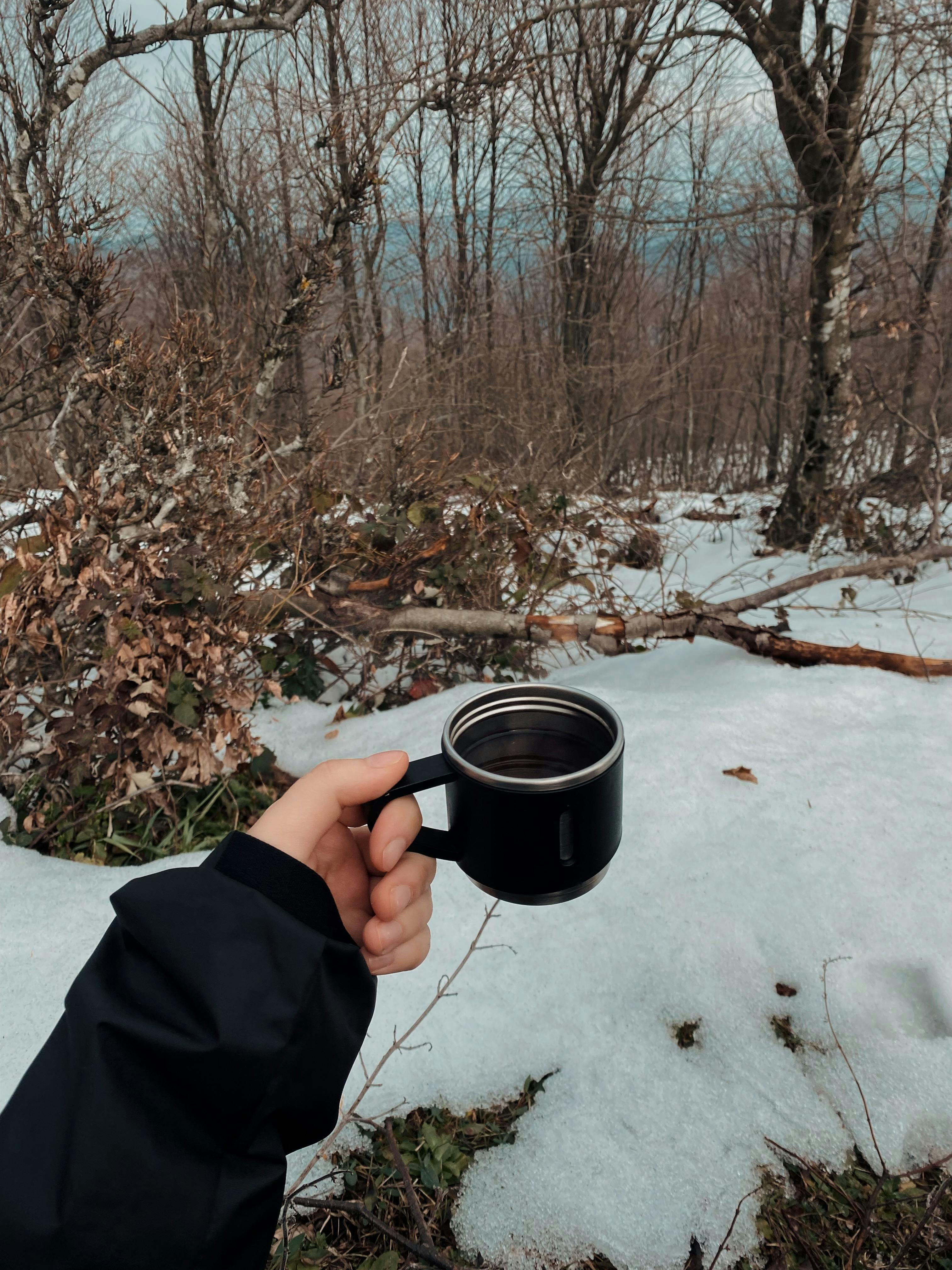 Winter Is Coming Photos, Download The BEST Free Winter Is Coming Stock ...