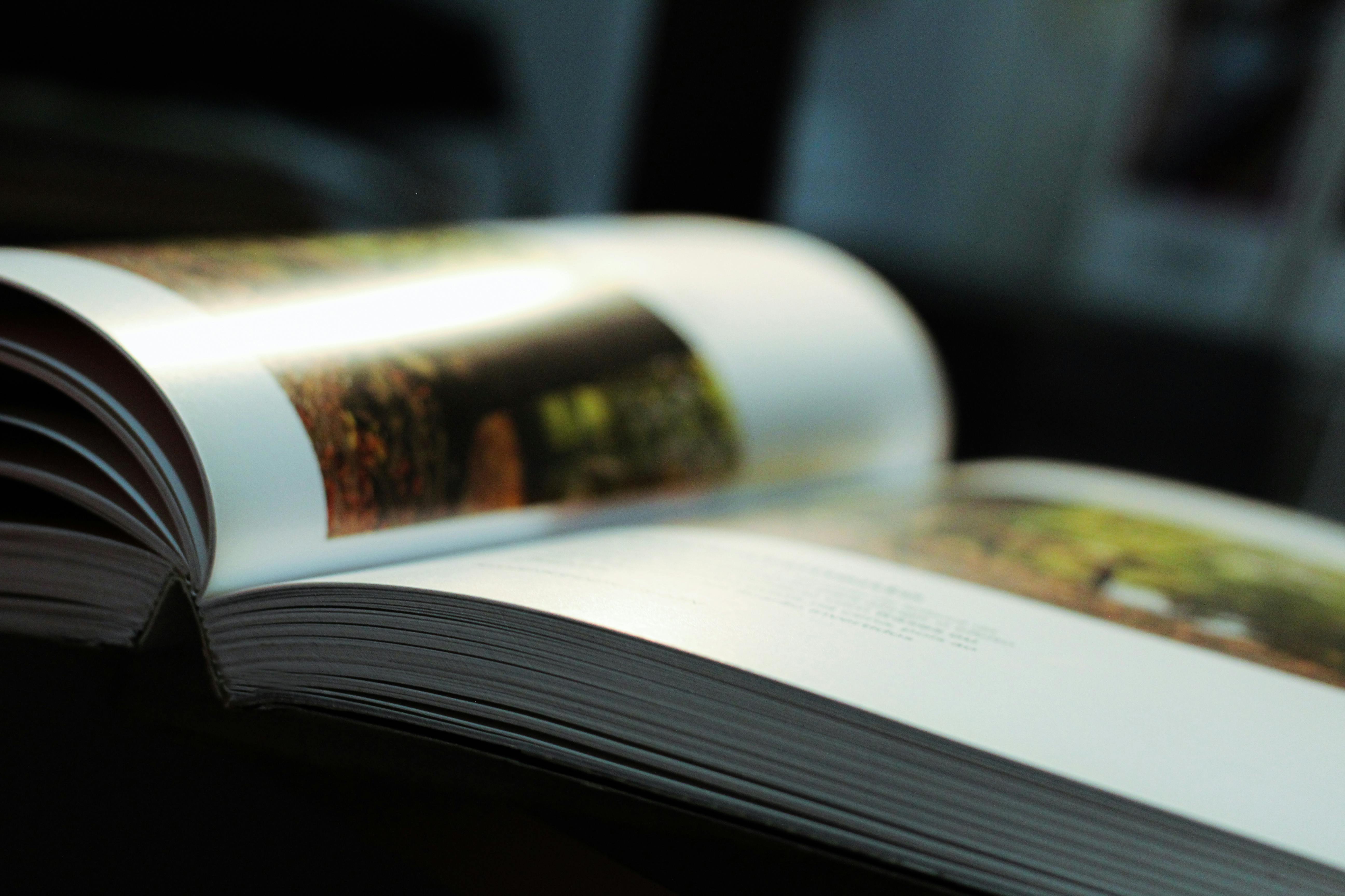 Close-up of Open Book · Free Stock Photo