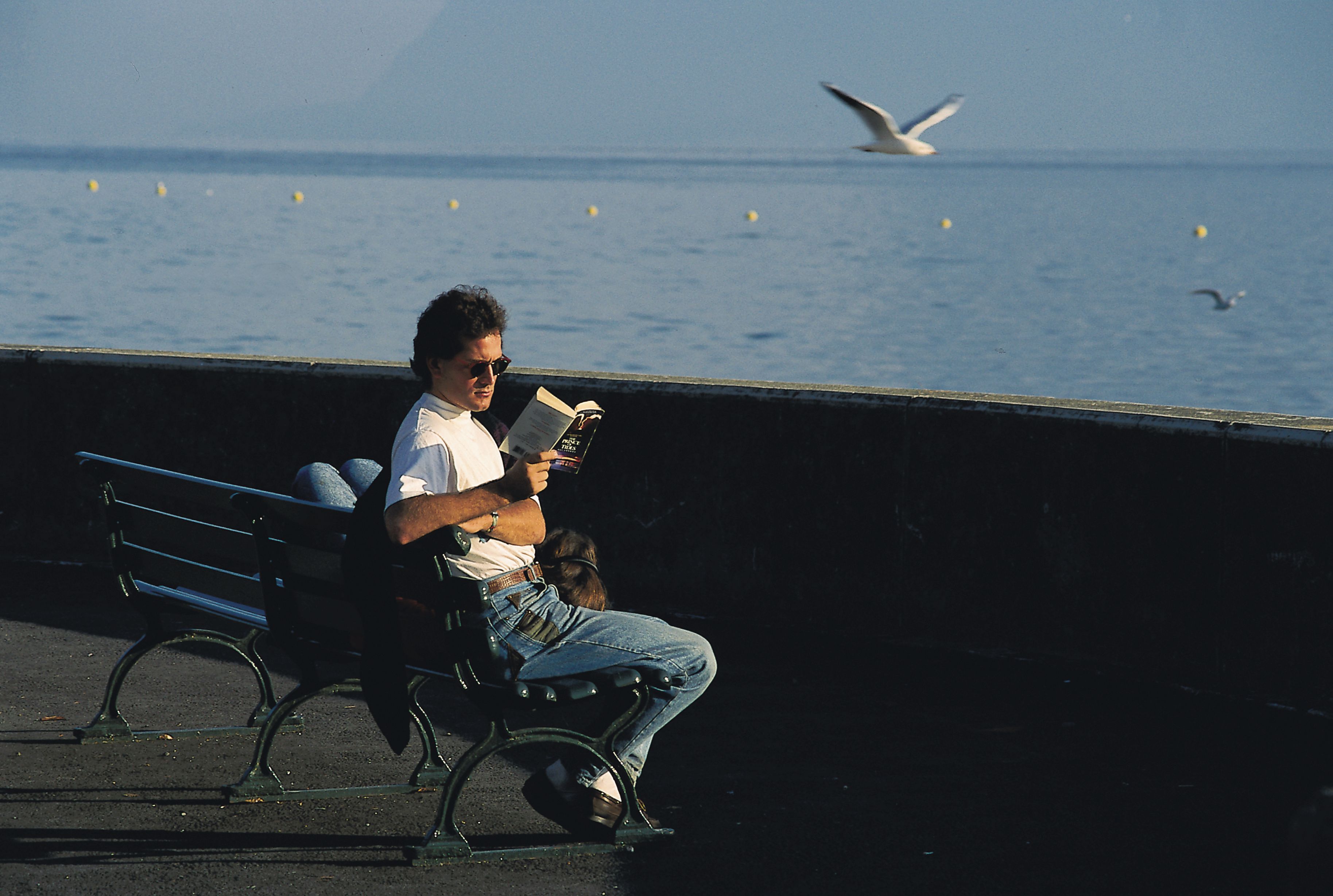 Man Reading Book While Sitting on Bench on Seashore · Free Stock Photo