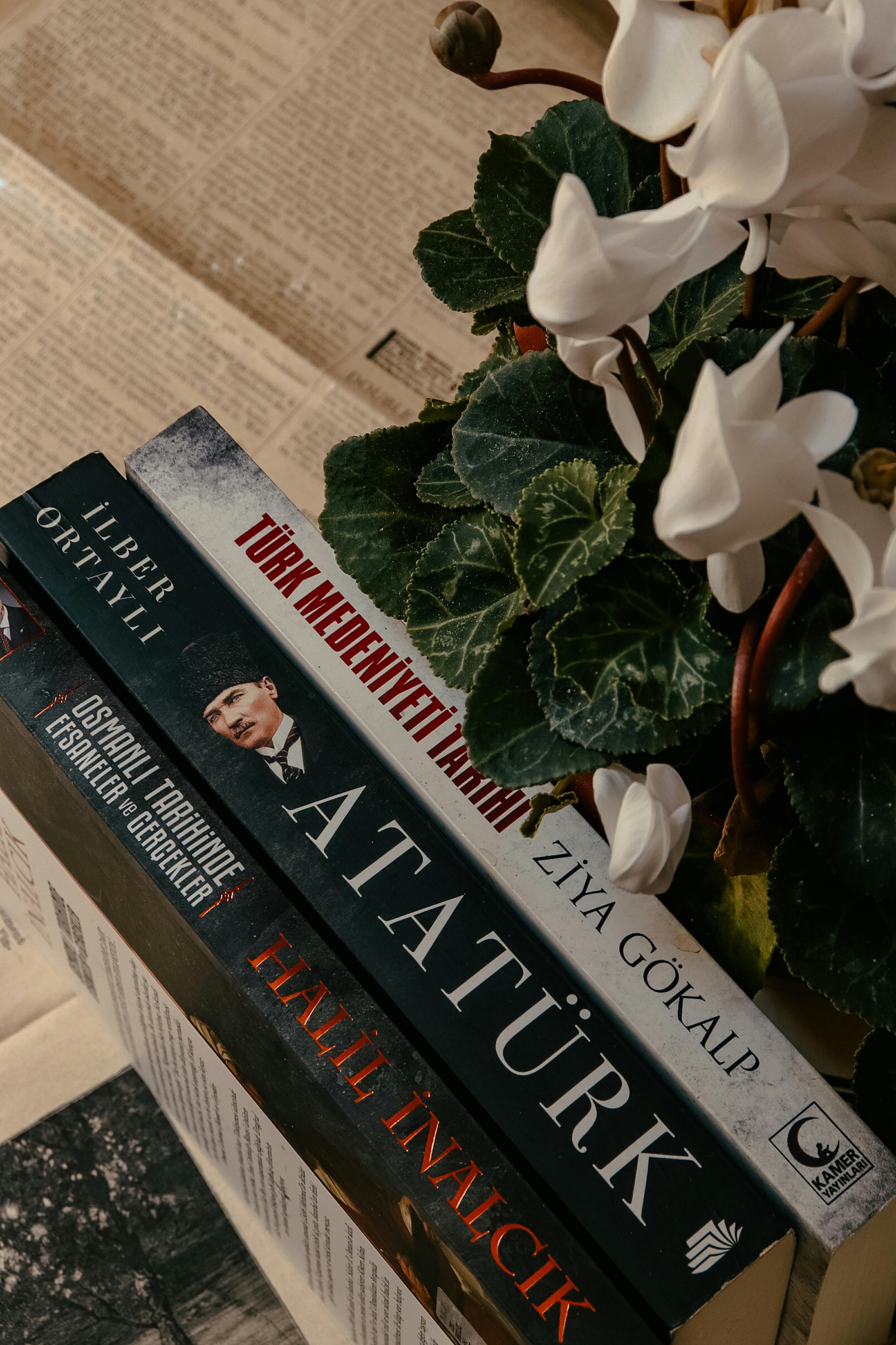 Céline - Photography