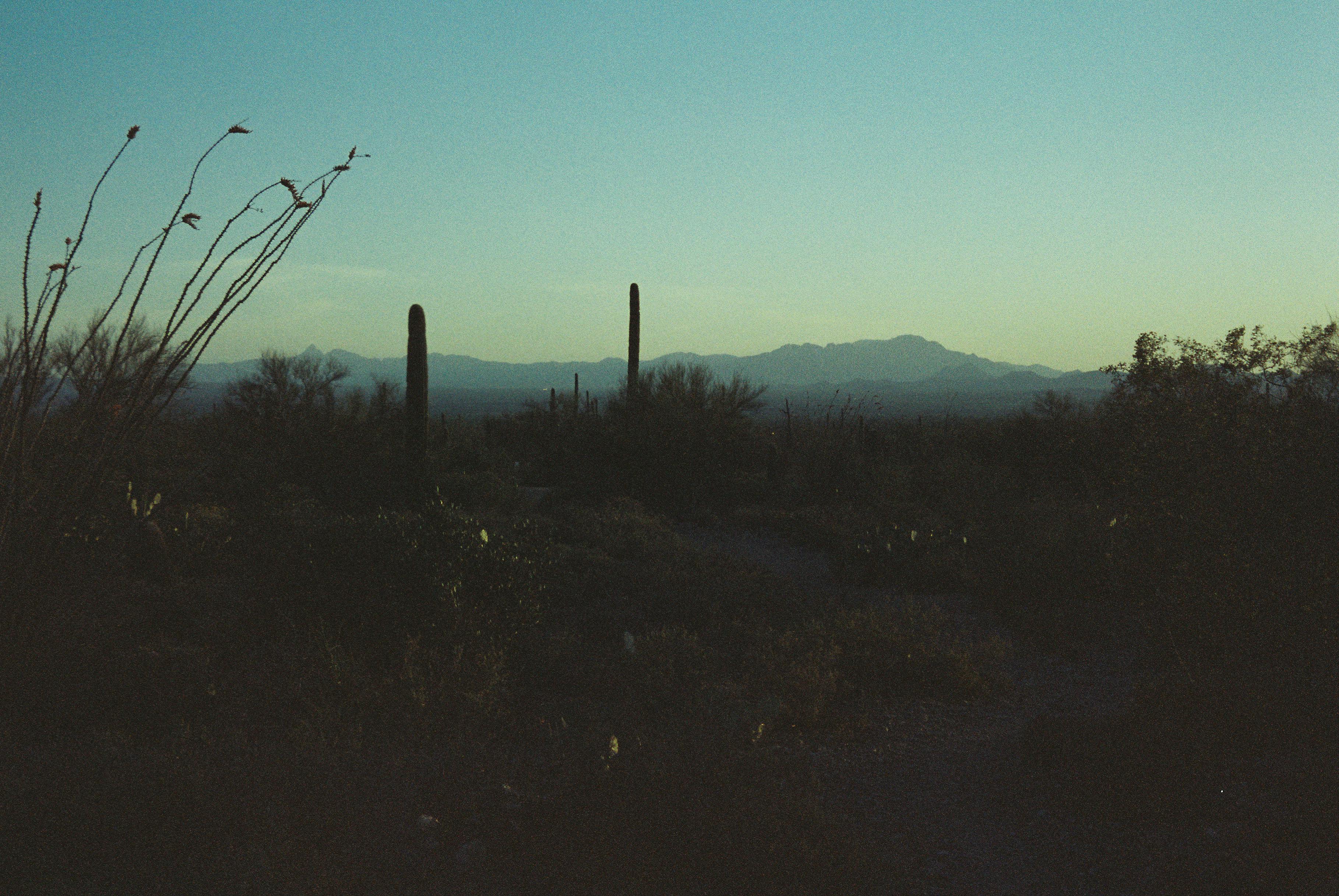 Arizona Sun Photos, Download The BEST Free Arizona Sun Stock Photos ...