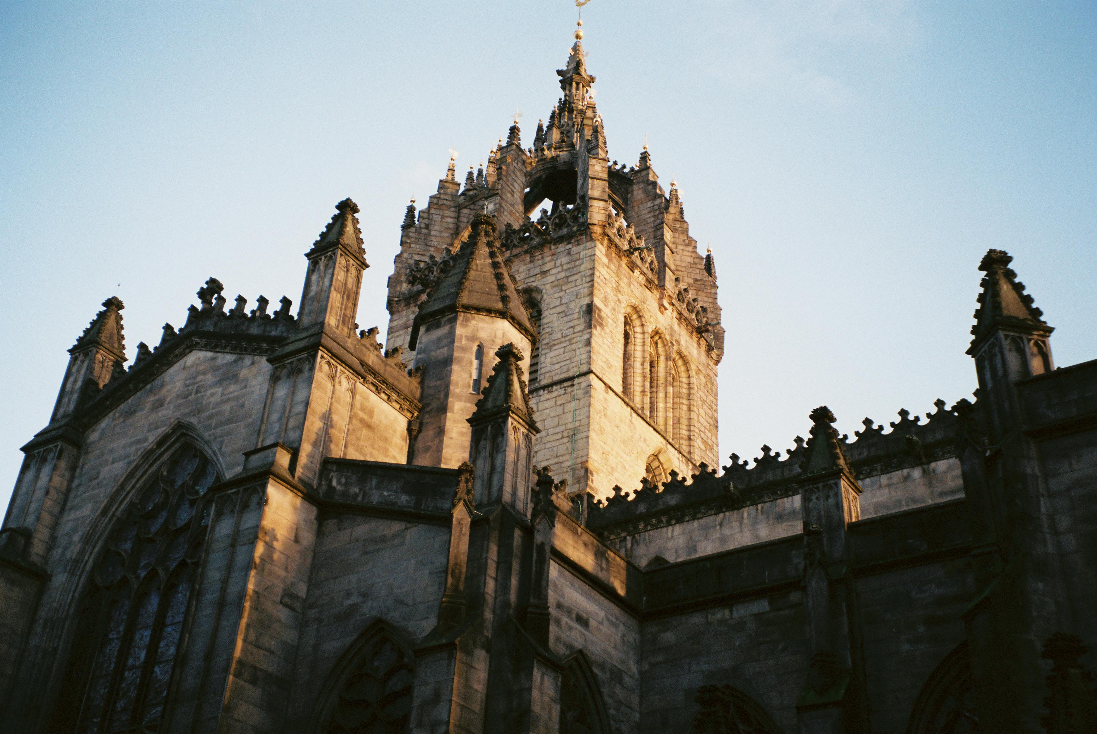 Gile Photos, Download The BEST Free Gile Stock Photos & HD Images