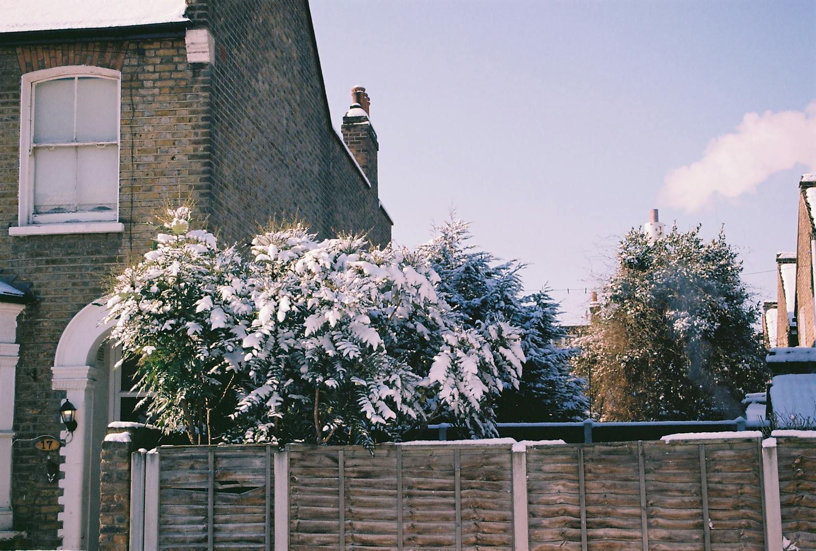 Snow Laden Trees Photos, Download The BEST Free Snow Laden Trees Stock ...