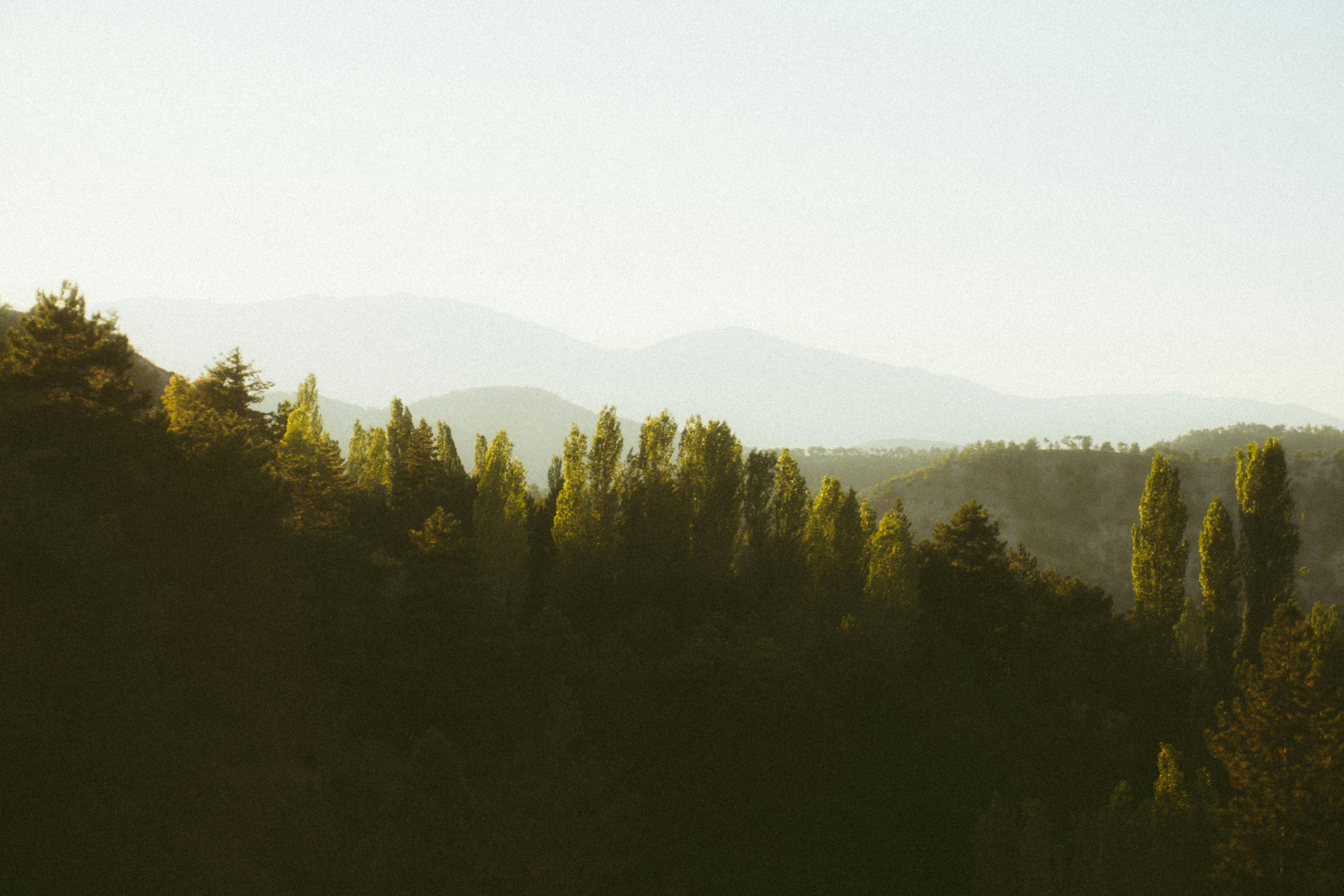 Photo of a Forest and Layers of Mountains in the Background · Free ...