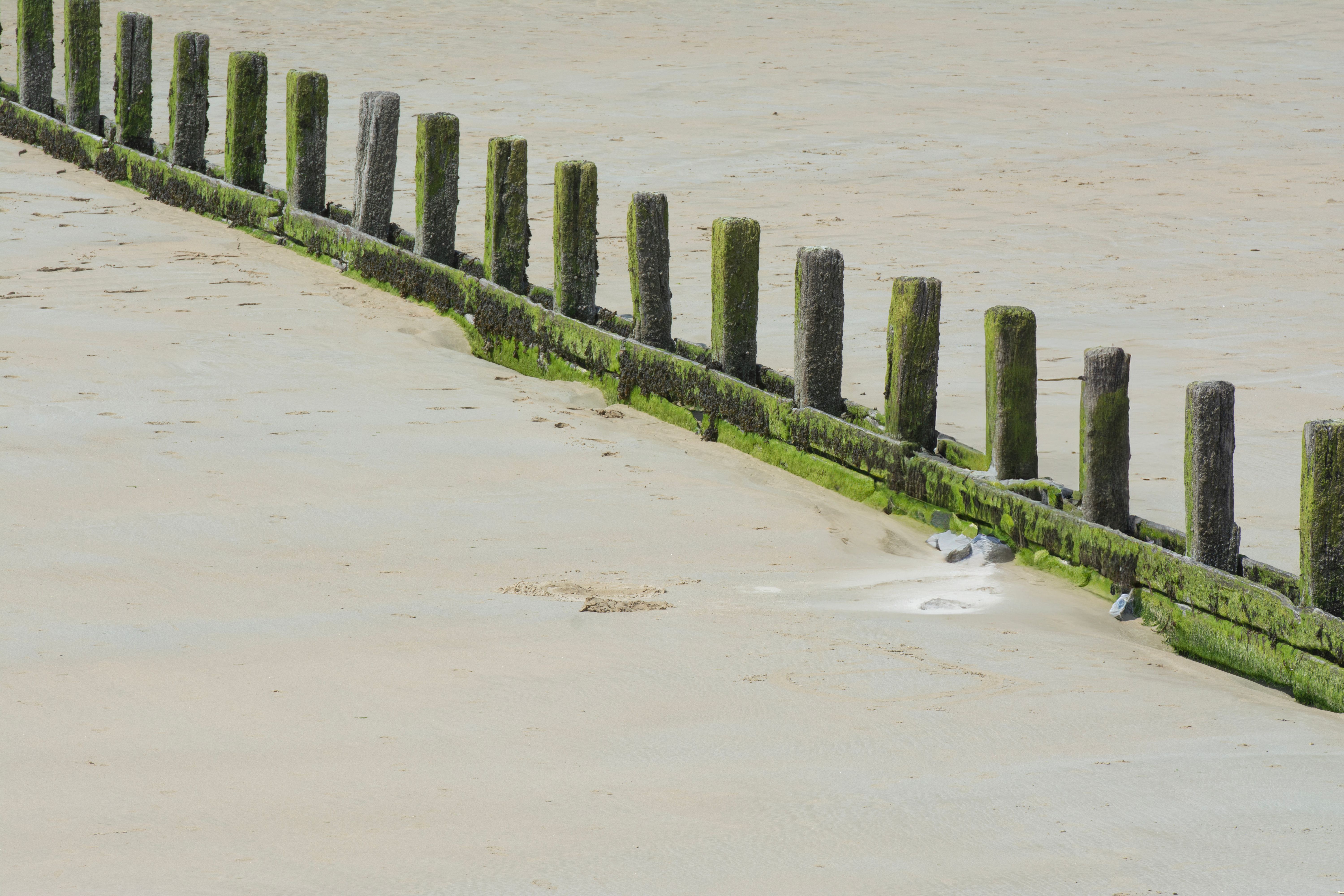 Wooden Posts of Breakwater on Sea Shore · Free Stock Photo