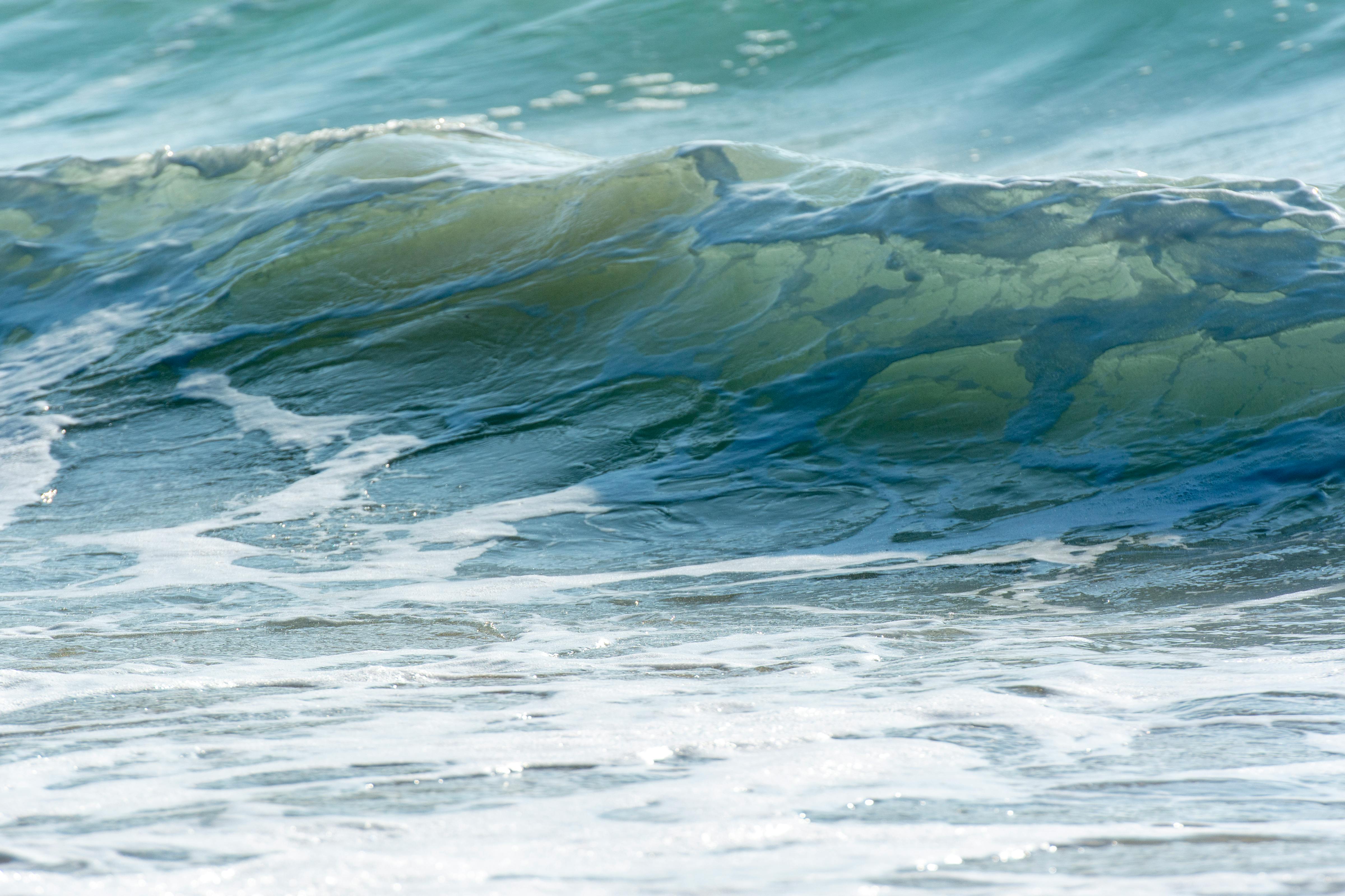 Wave on Foamy Ocean Water · Free Stock Photo