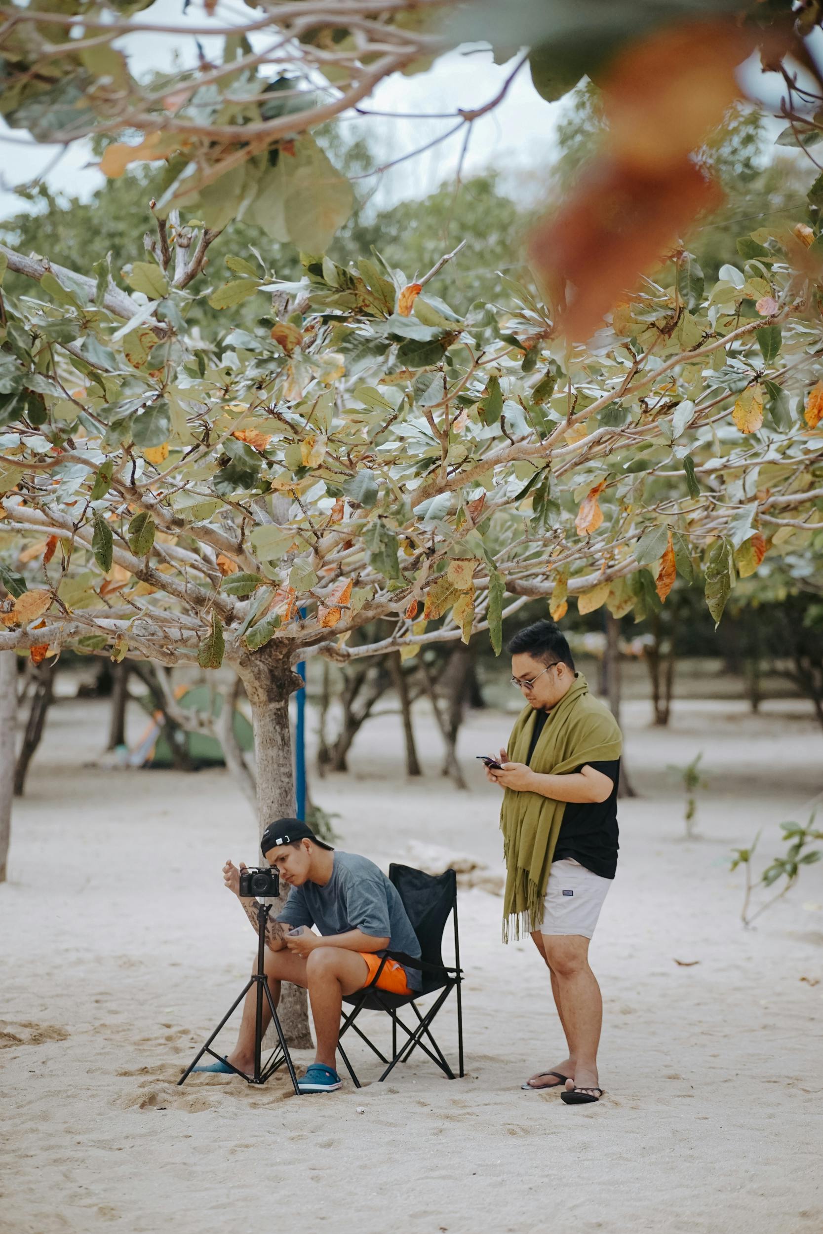 Image Composing Photos, Download The BEST Free Image Composing Stock ...