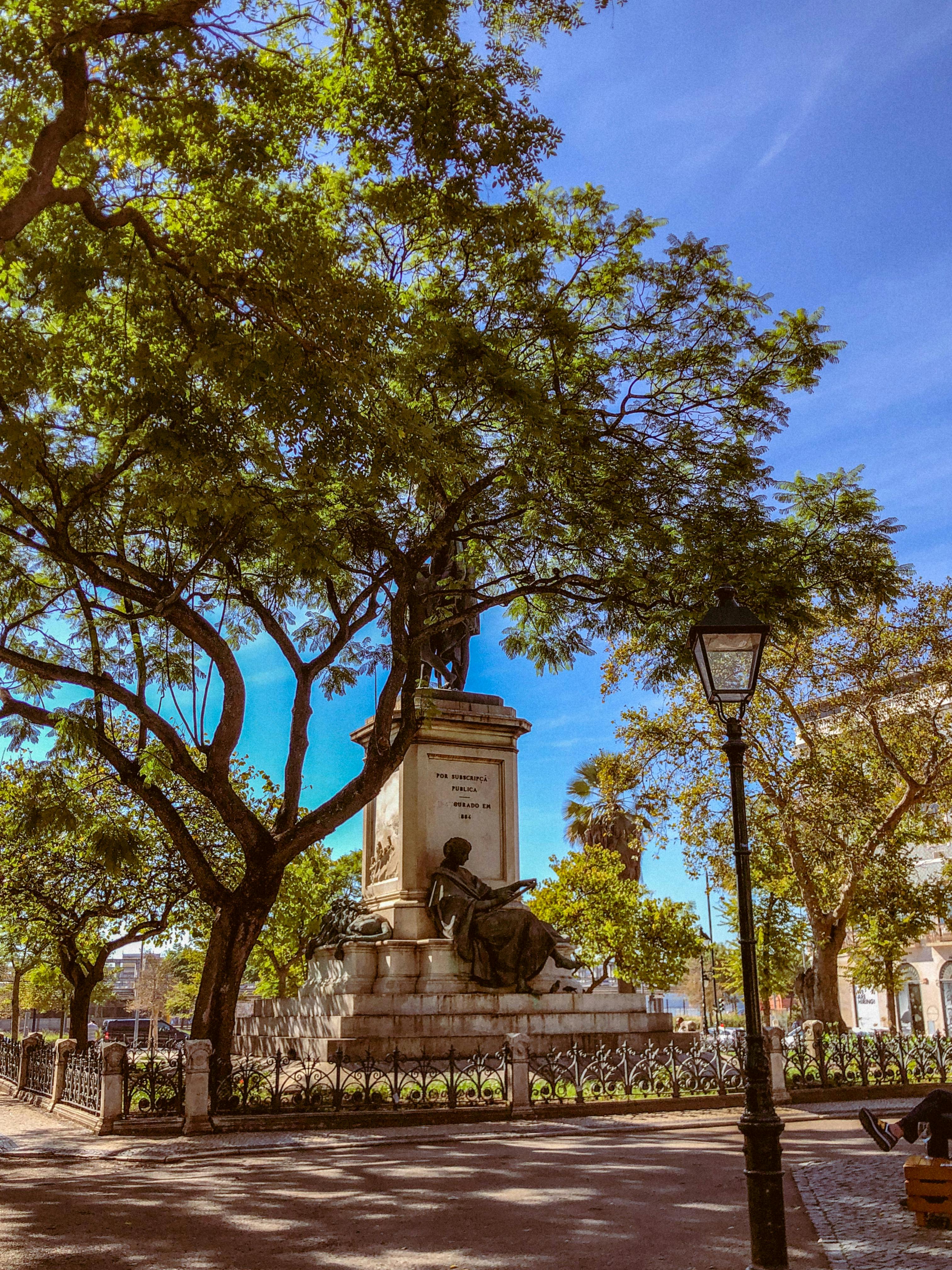 Trees around Monument in Park · Free Stock Photo