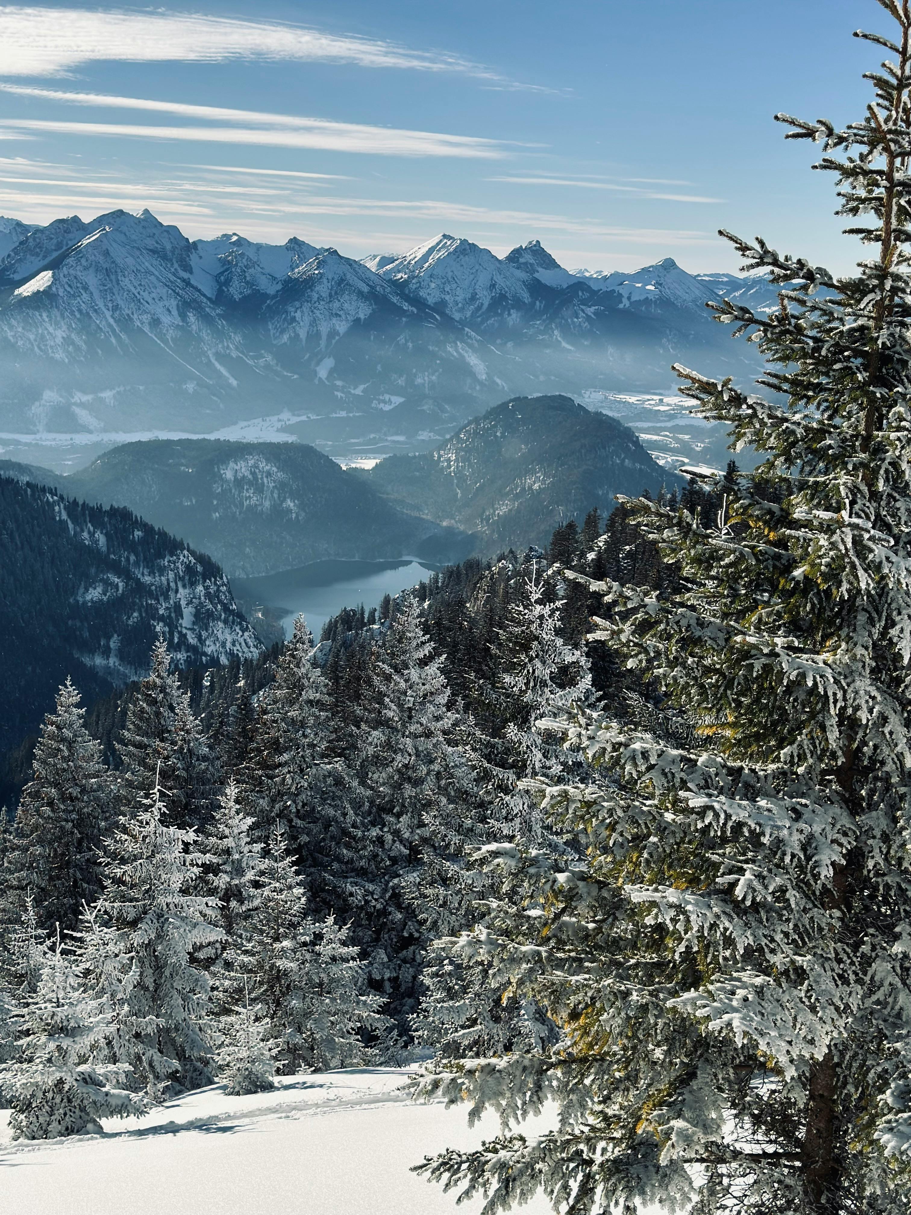 Snow Alpine Landscape · Free Stock Photo
