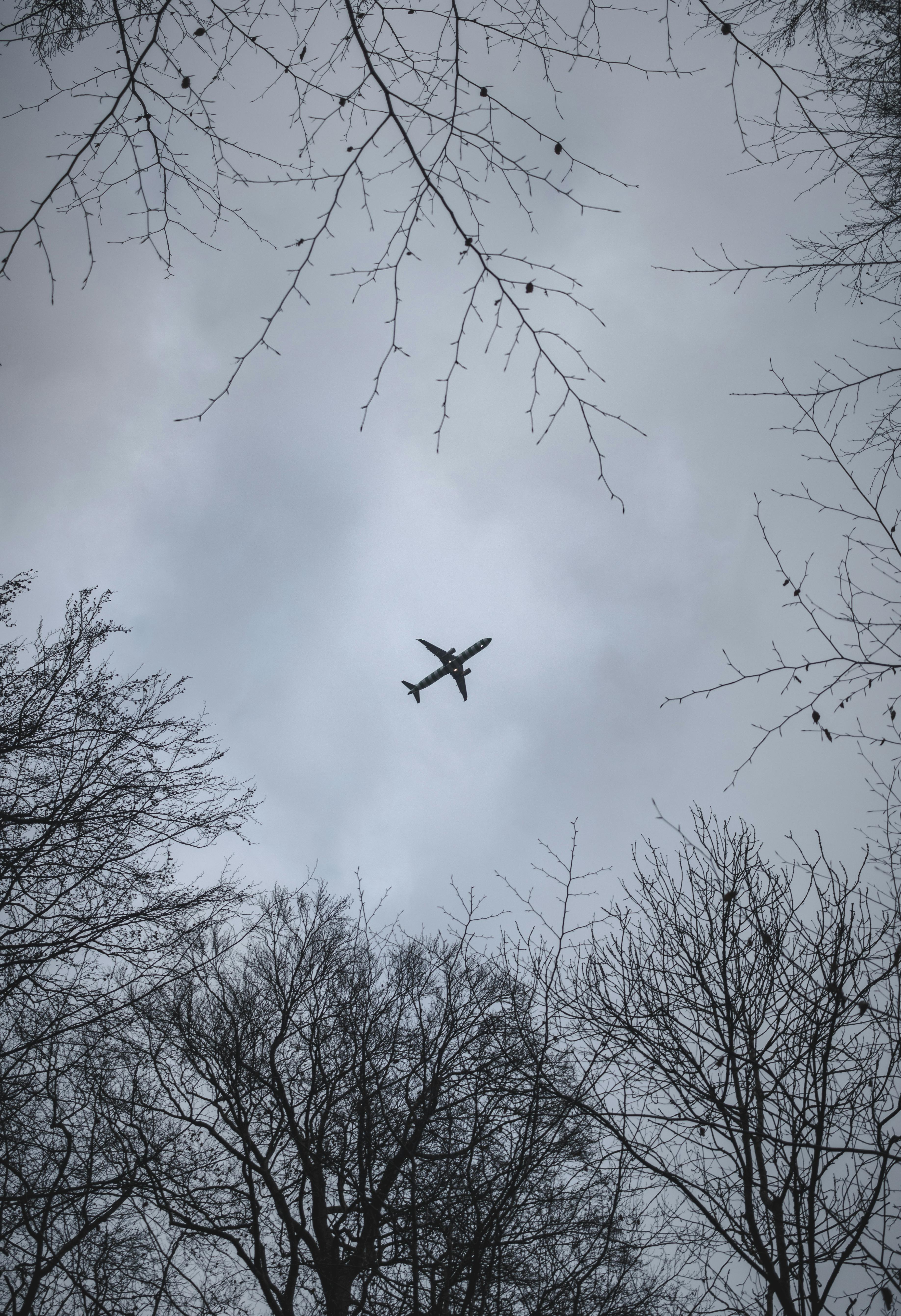 Download Free Hd Wallpaper Photos, Download The BEST Free Download Free ...