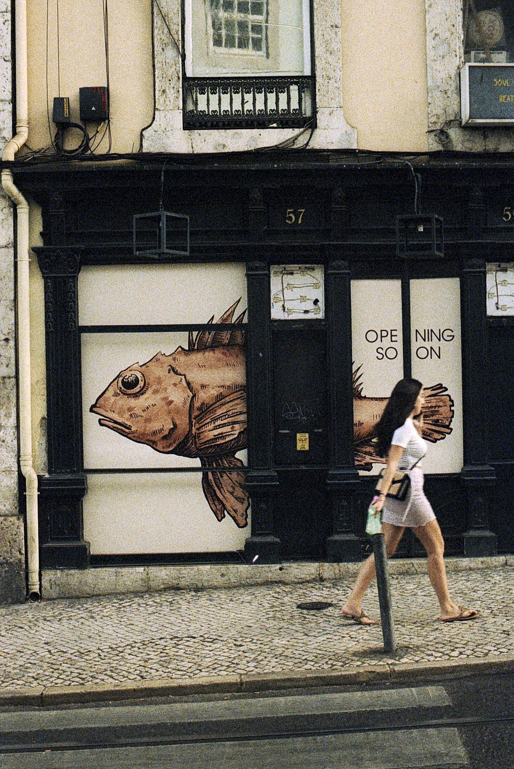 Fish Windows Photos, Download The BEST Free Fish Windows Stock Photos ...