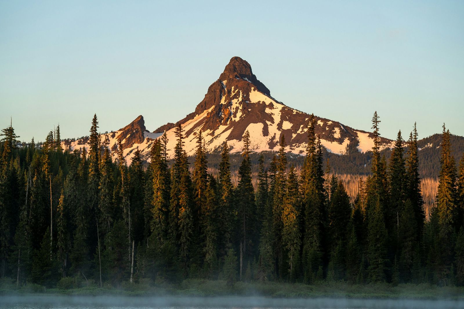 Oregon Forest Photos, Download The BEST Free Oregon Forest Stock Photos ...