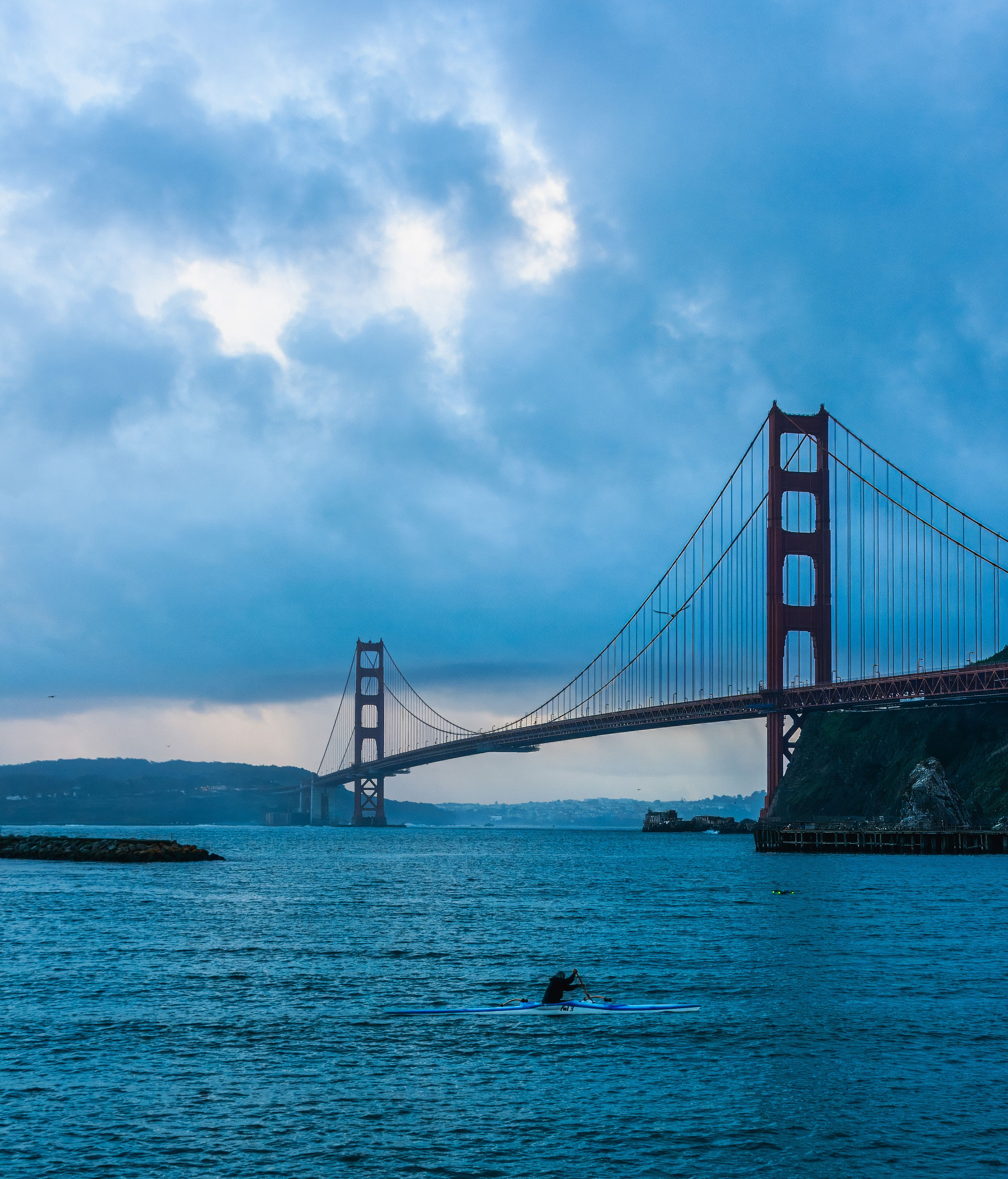 A whale swimming under the golden gate bridge · Free Stock Photo