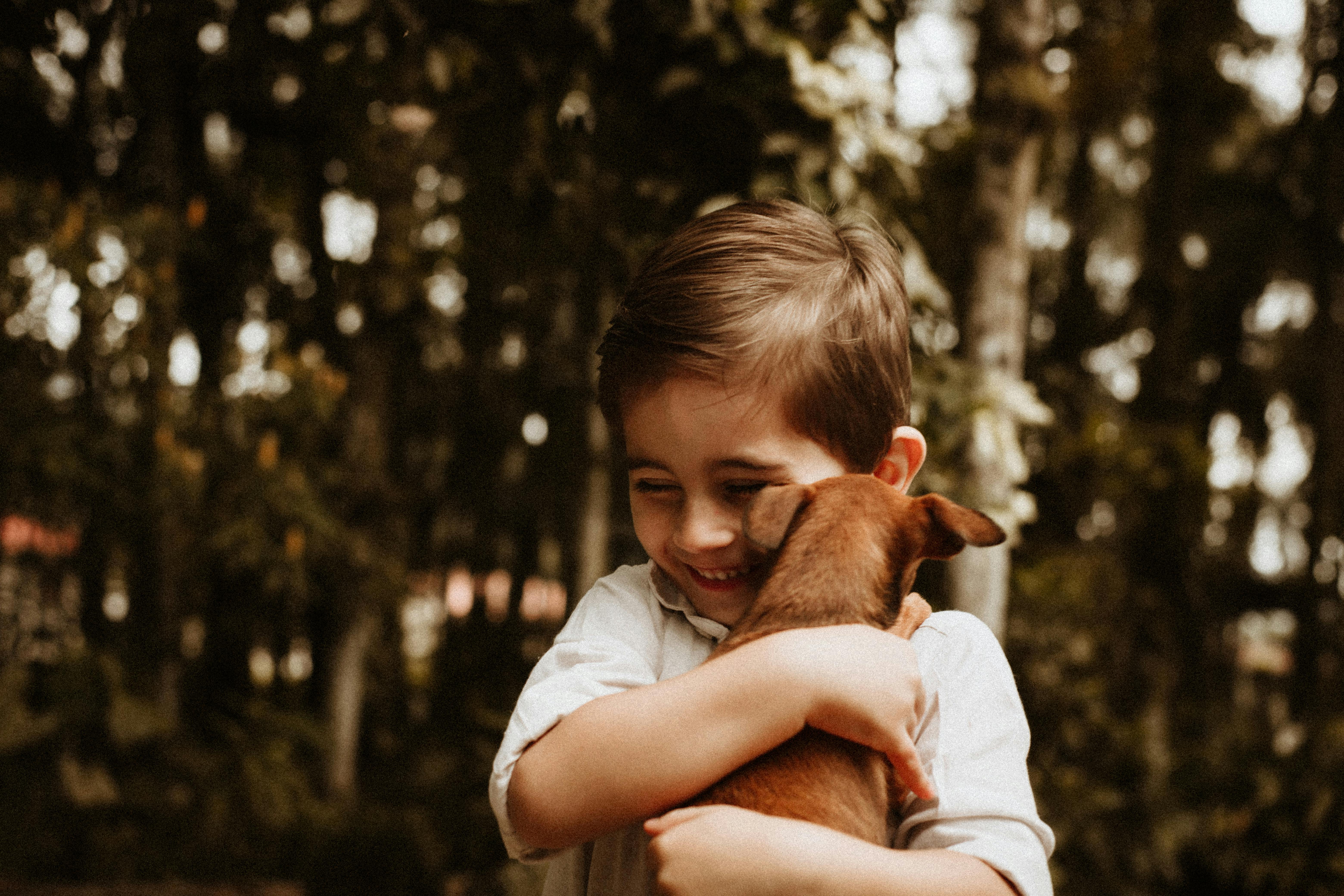 Child Hugging Dog · Free Stock Photo