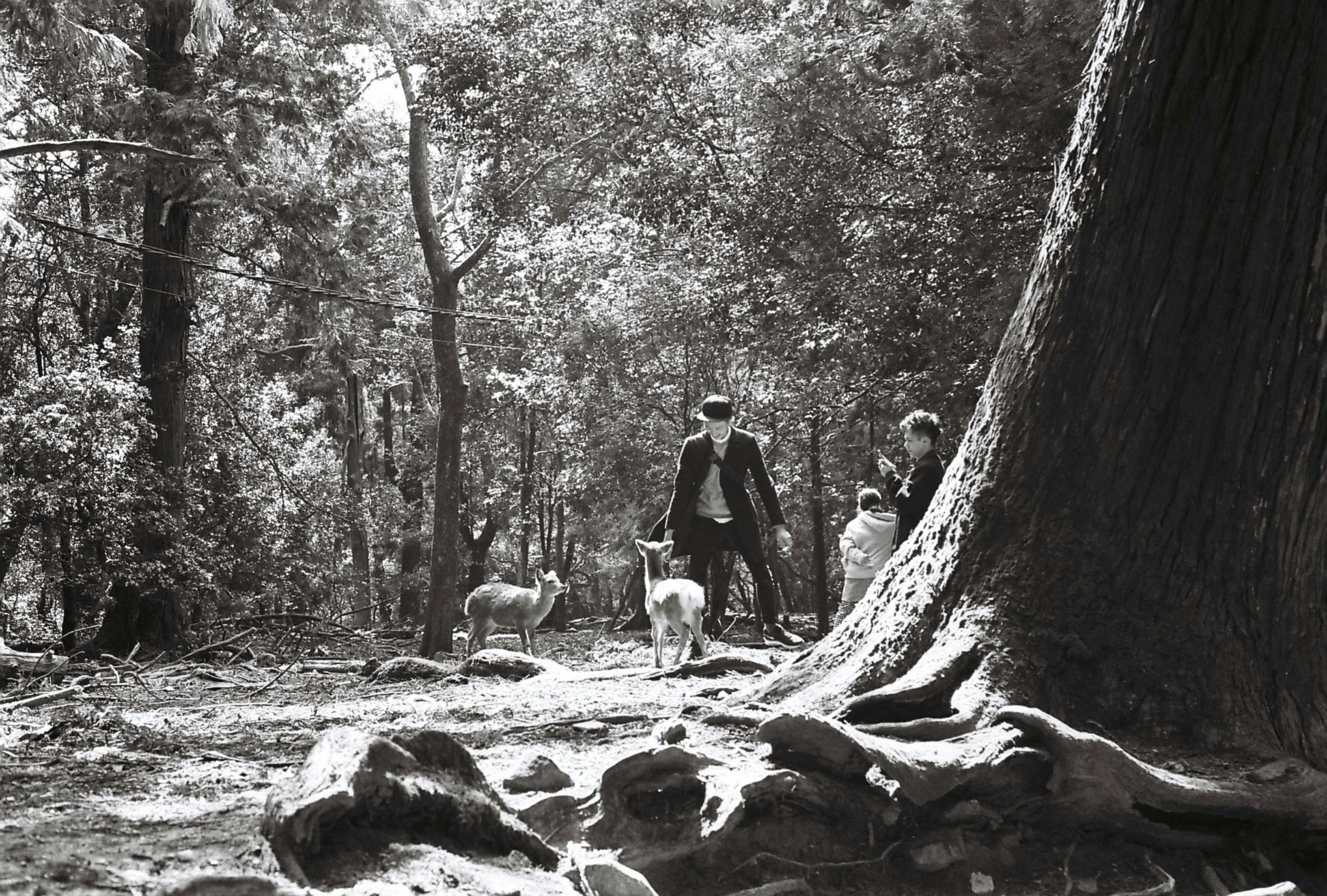 Wild Person Photos, Download The BEST Free Wild Person Stock Photos ...