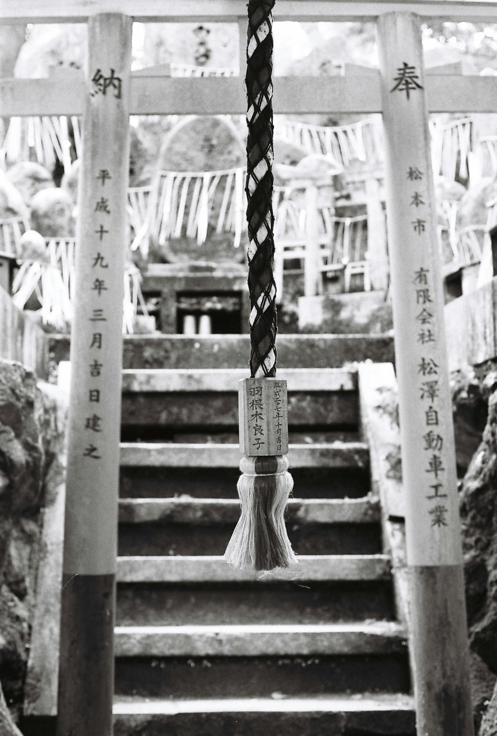 Torii Gate Photos, Download The BEST Free Torii Gate Stock Photos & HD ...