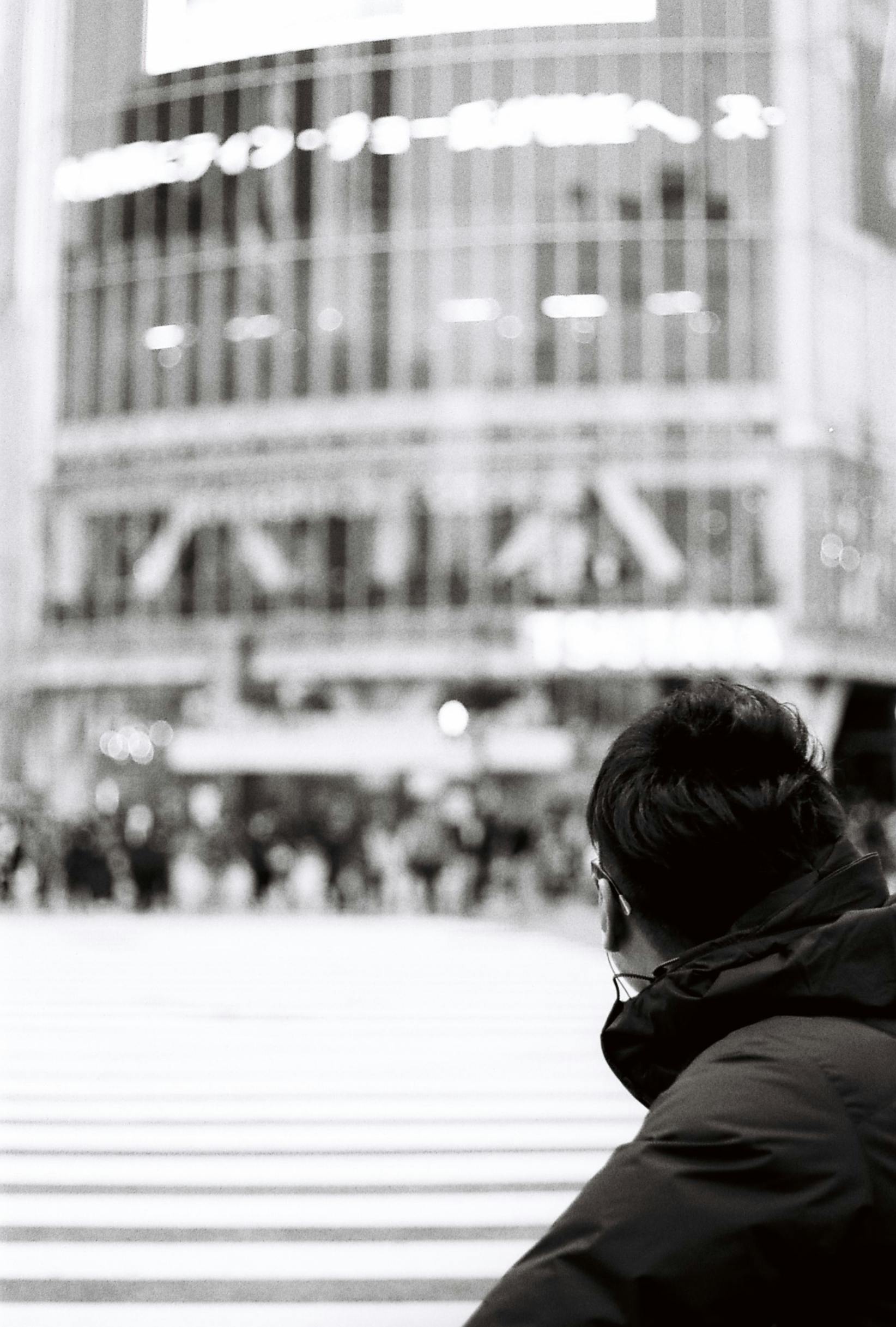 Tokyo Over Head View Photos, Download The BEST Free Tokyo Over Head ...