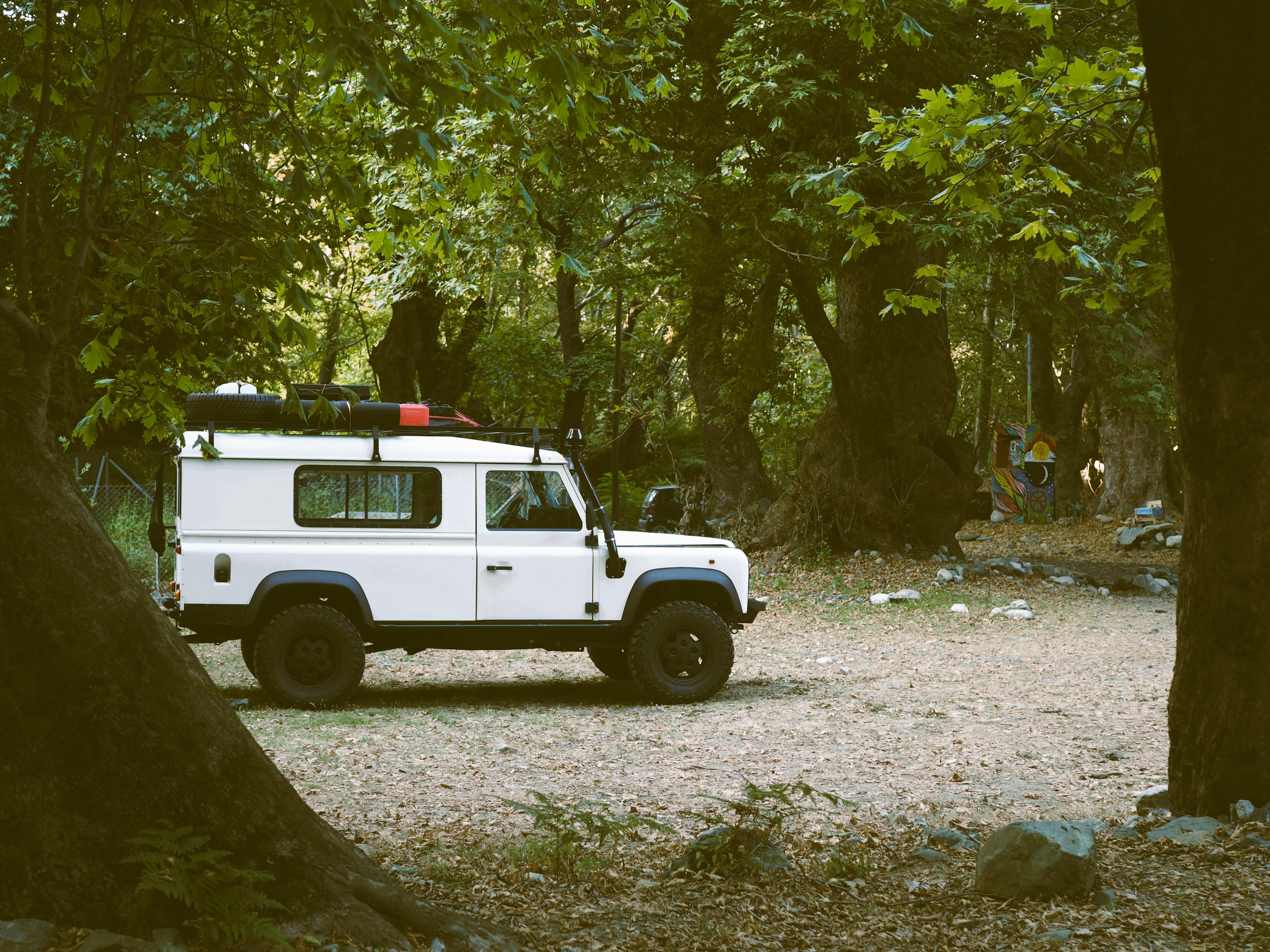 Forest Emergency Procedures Photos, Download The BEST Free Forest ...