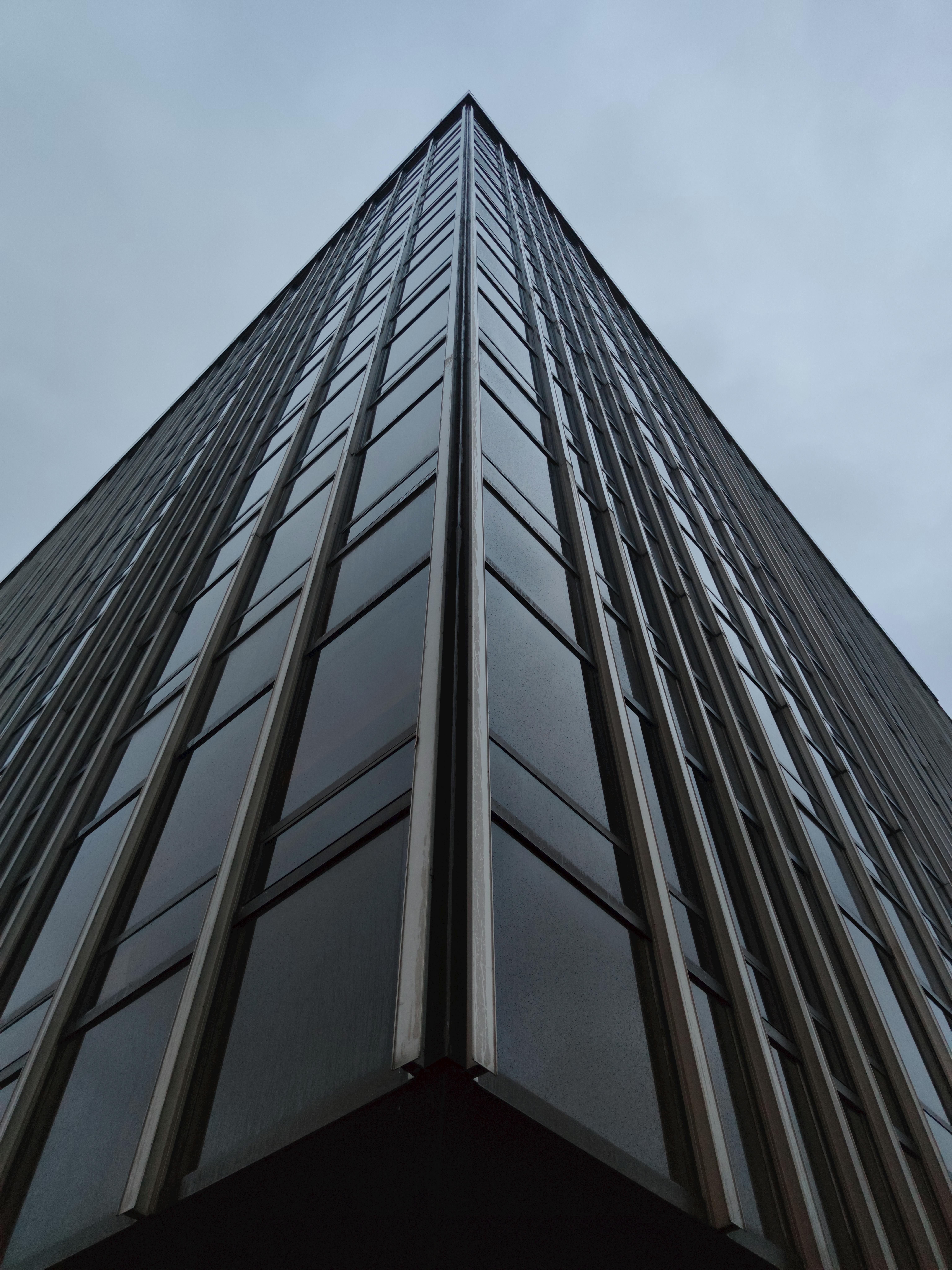 Windows in Skyscraper Corner · Free Stock Photo