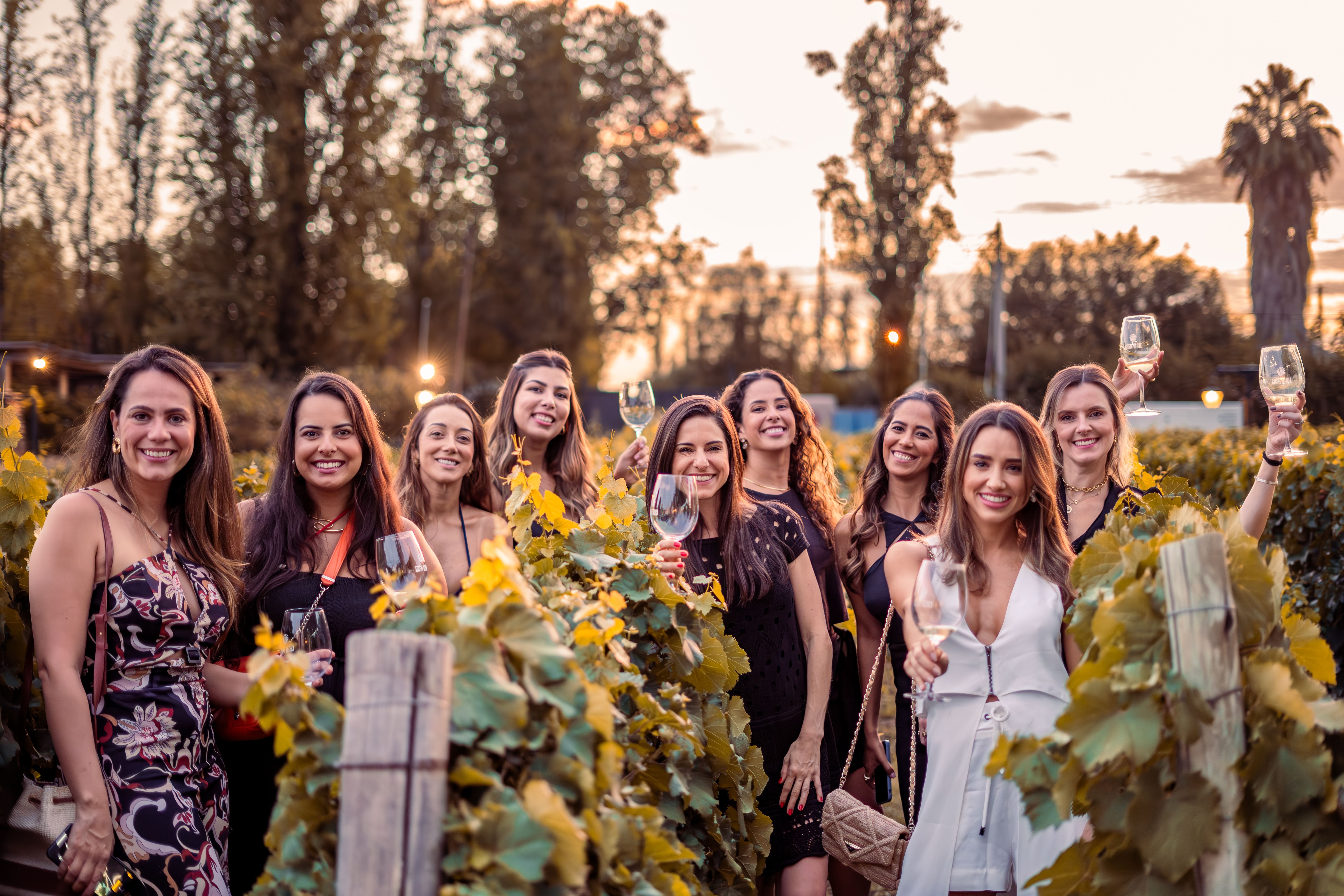 Women on a Garden Party in the Evening · Free Stock Photo