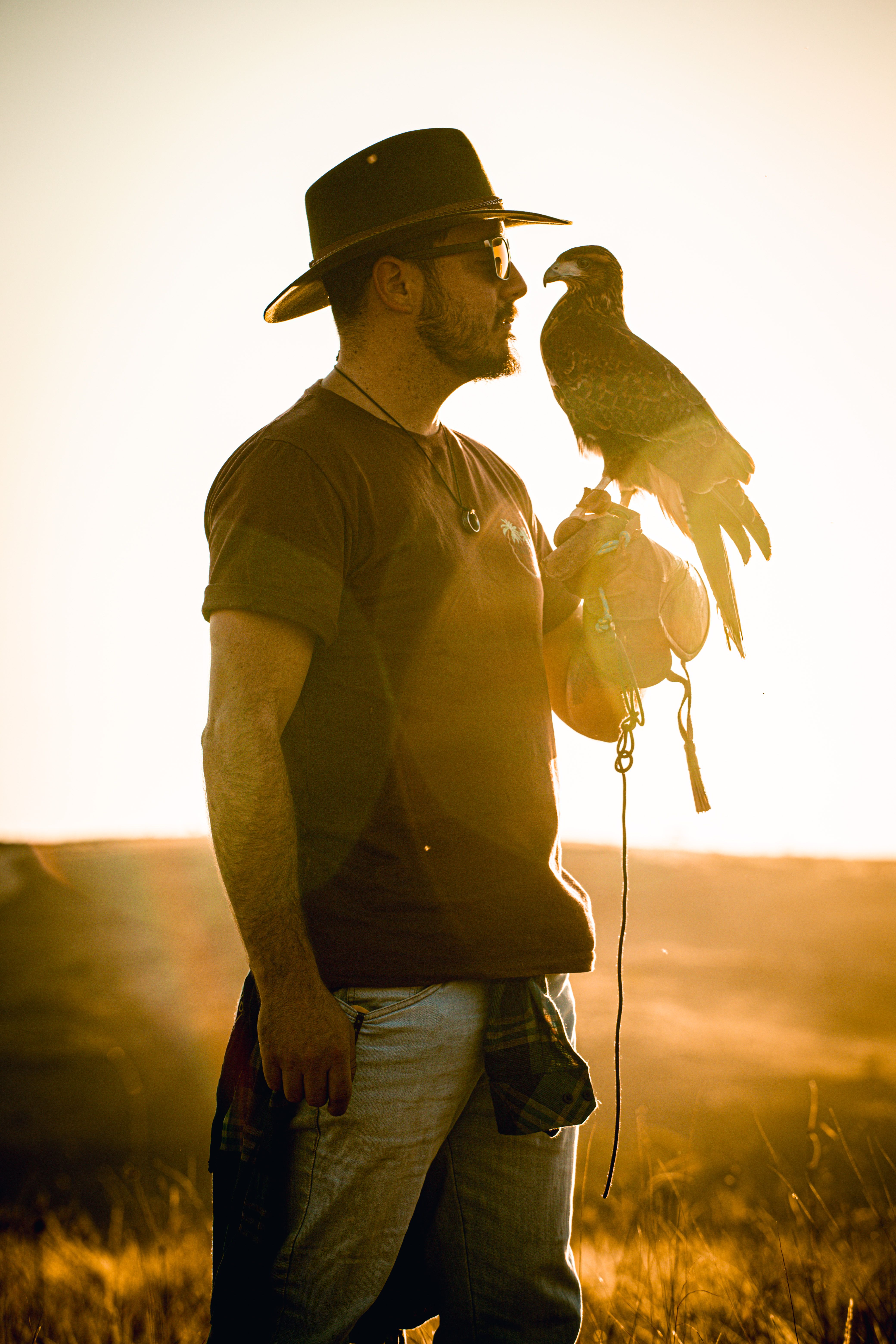 Man in Hat Standing with Bird of Prey at Sunset · Free Stock Photo
