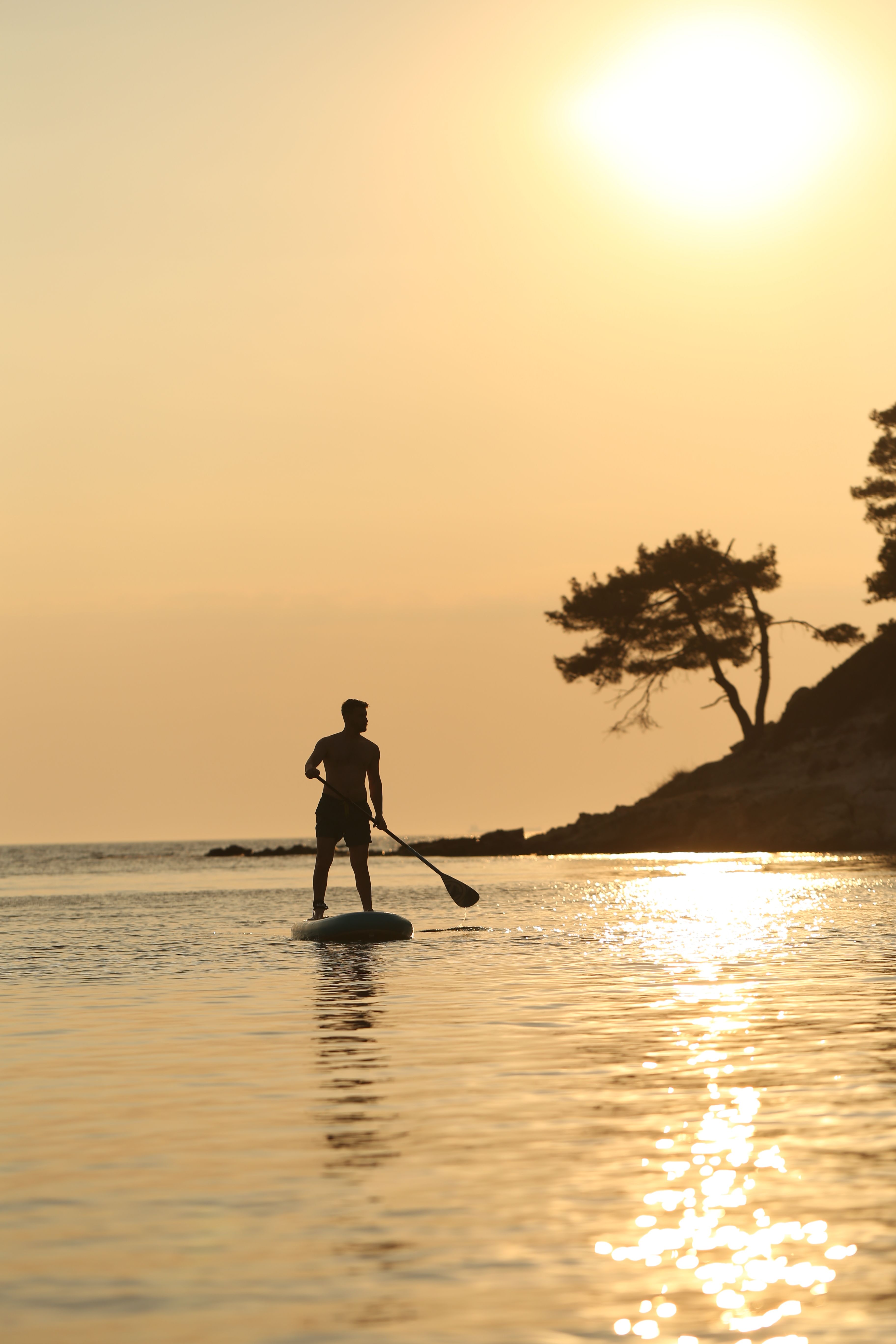 Man on Paddle Board on Sea Shore · Free Stock Photo