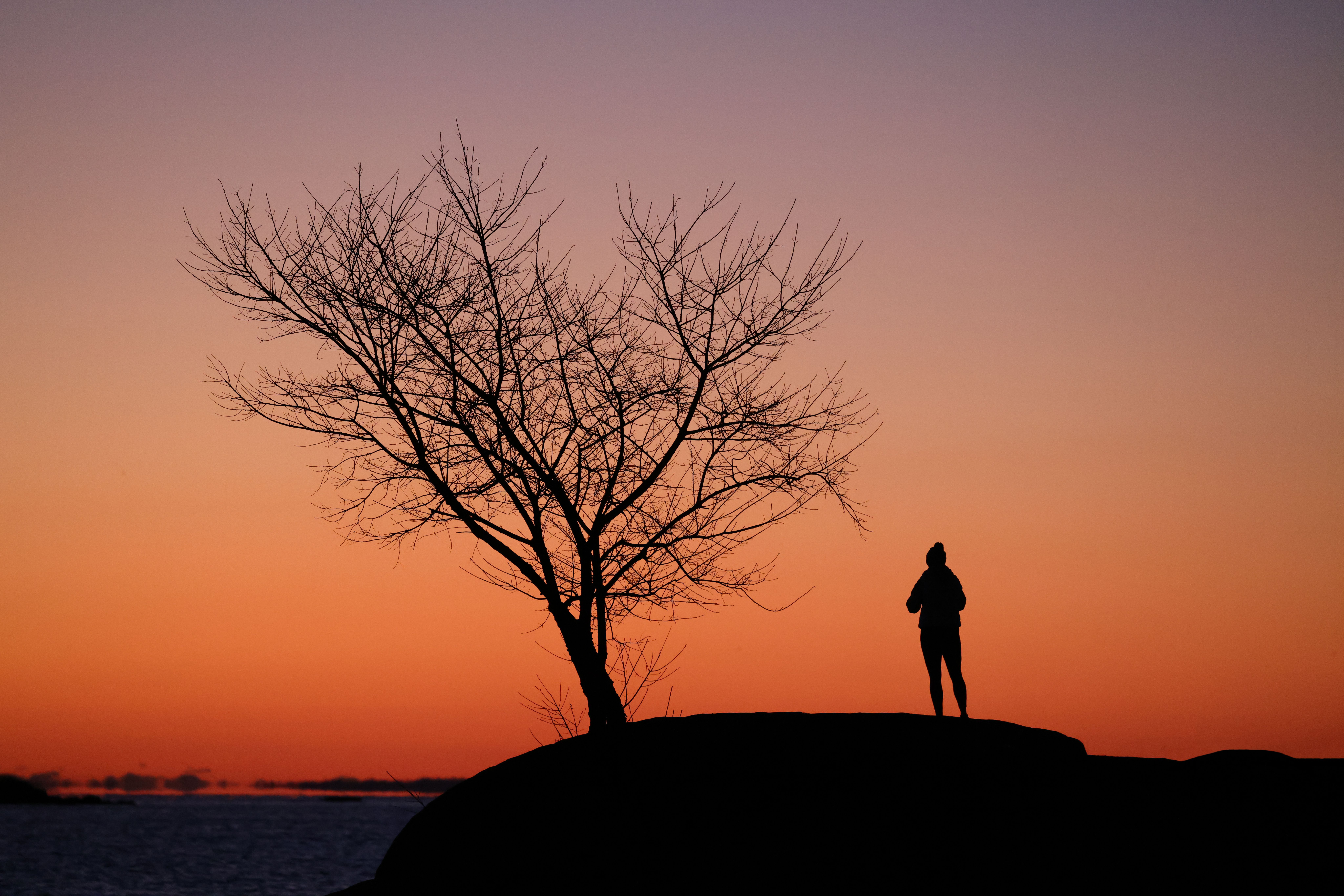 Person Standing near Bare Tree at Sunset · Free Stock Photo