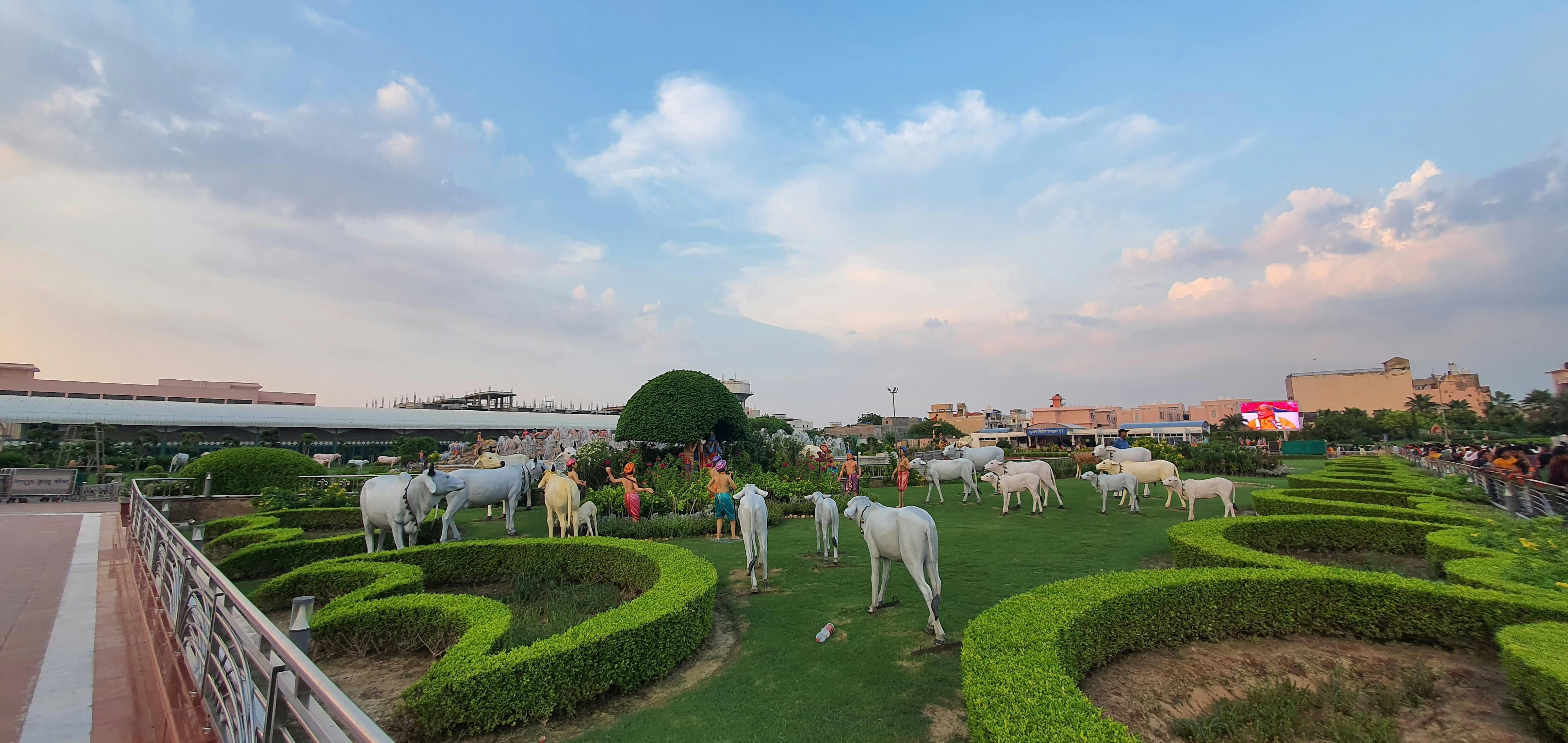 pranish shrestha - Photographie