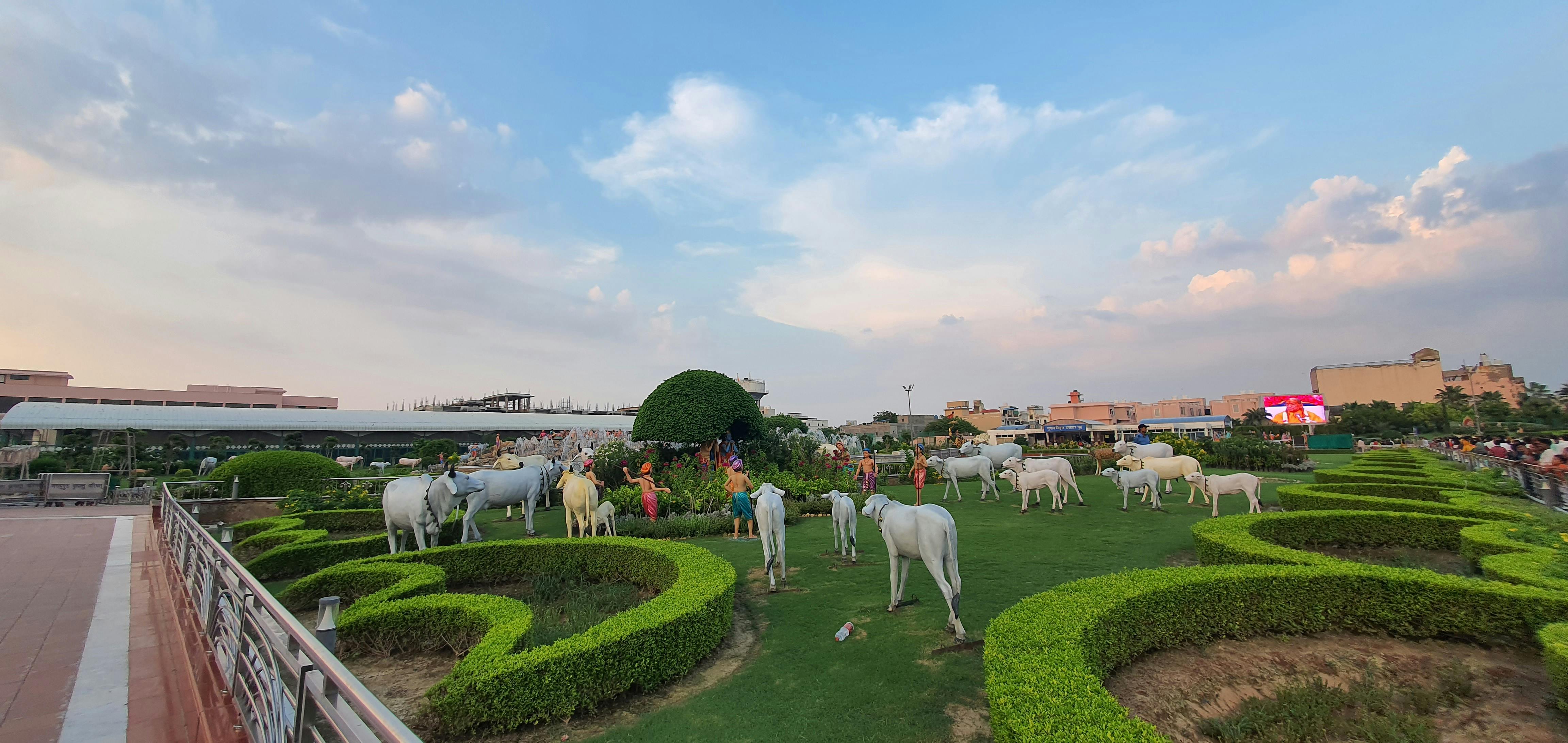 pranish shrestha - Photographie