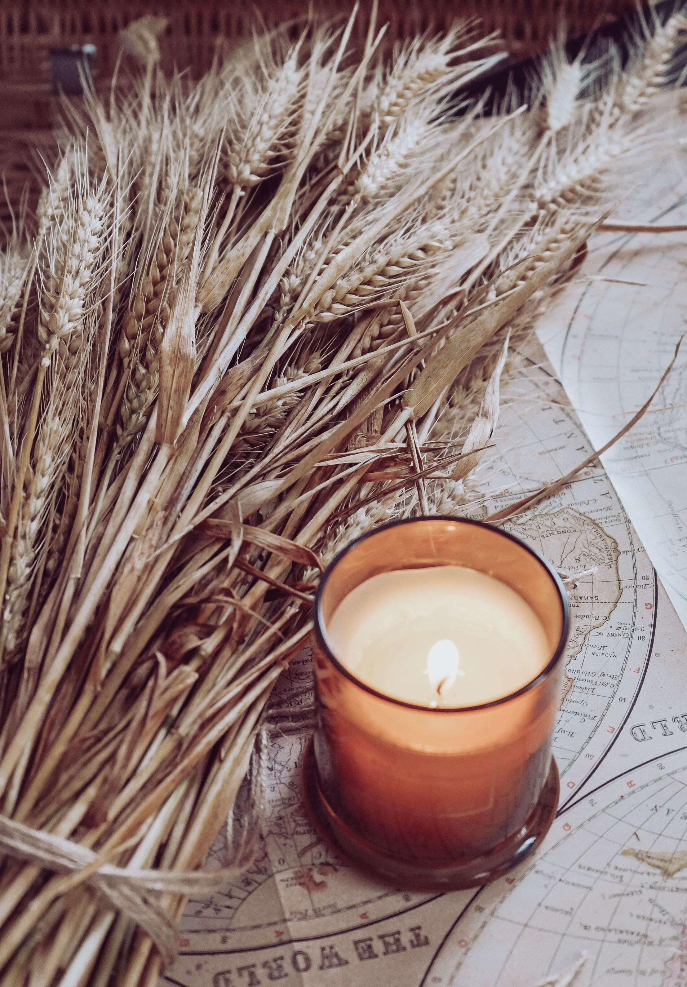 Grain Map Photos, Download The BEST Free Grain Map Stock Photos & HD Images