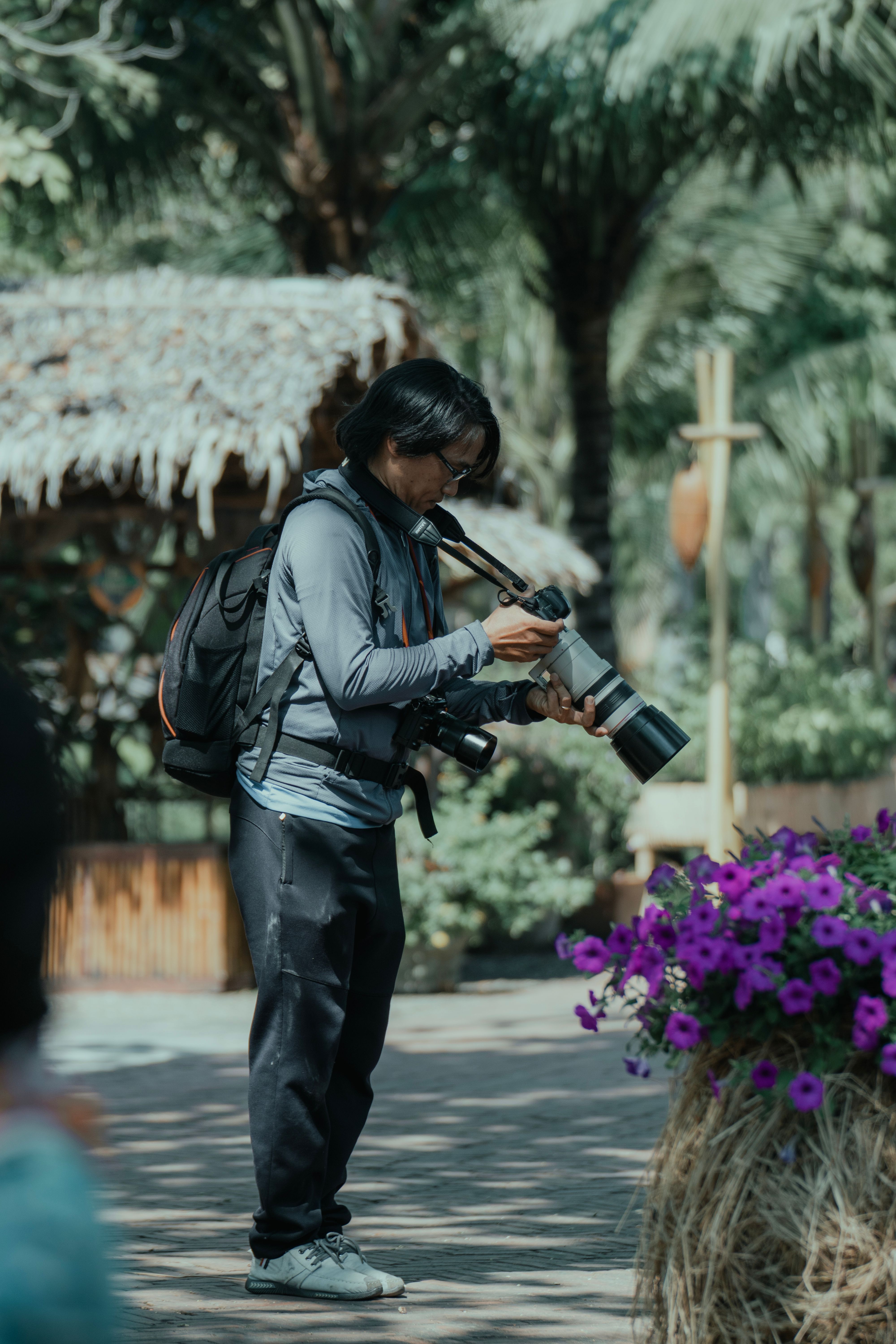 Professional Photographs Photos, Download The BEST Free Professional ...