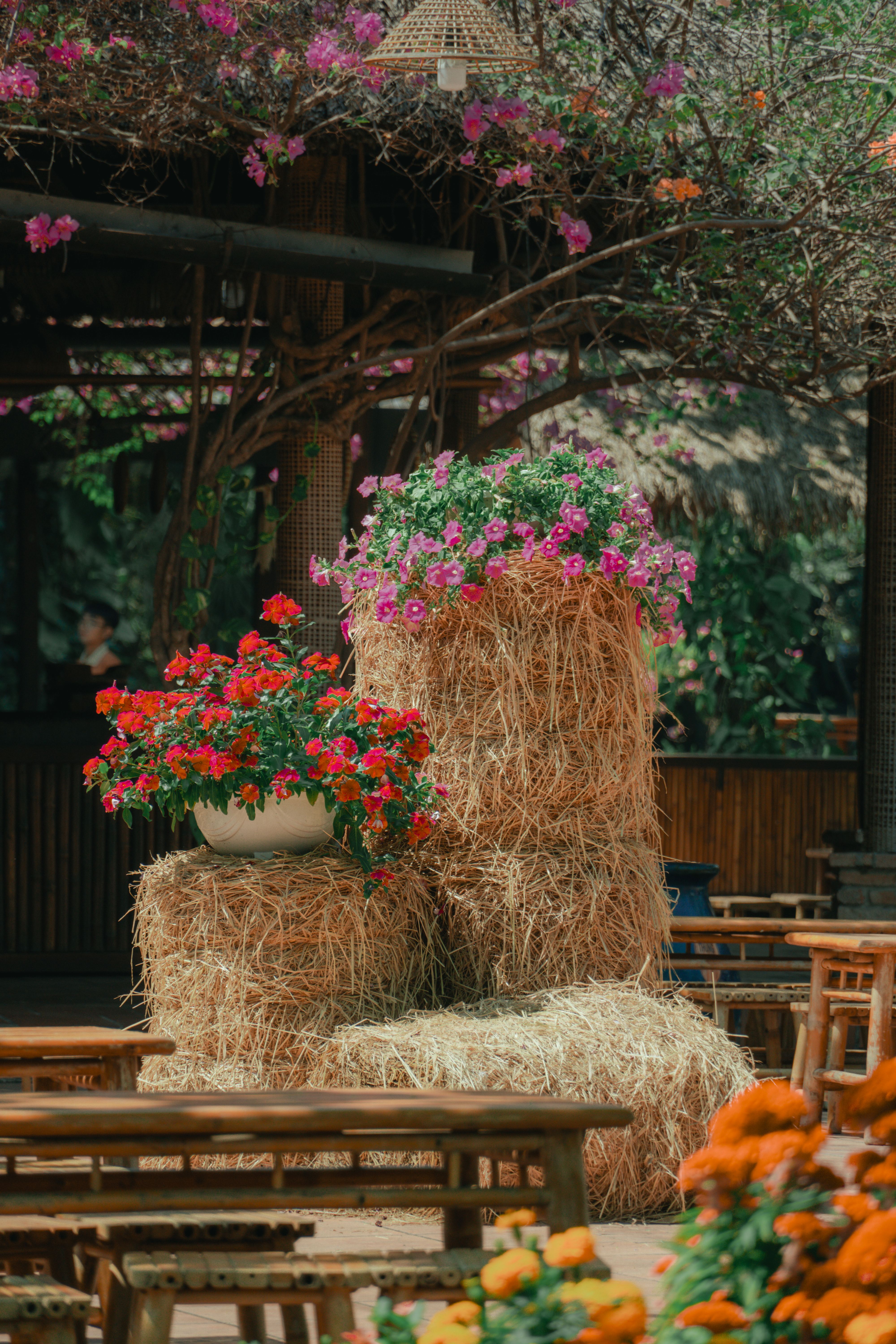 Flowers on Hay Bales in Garden · Free Stock Photo